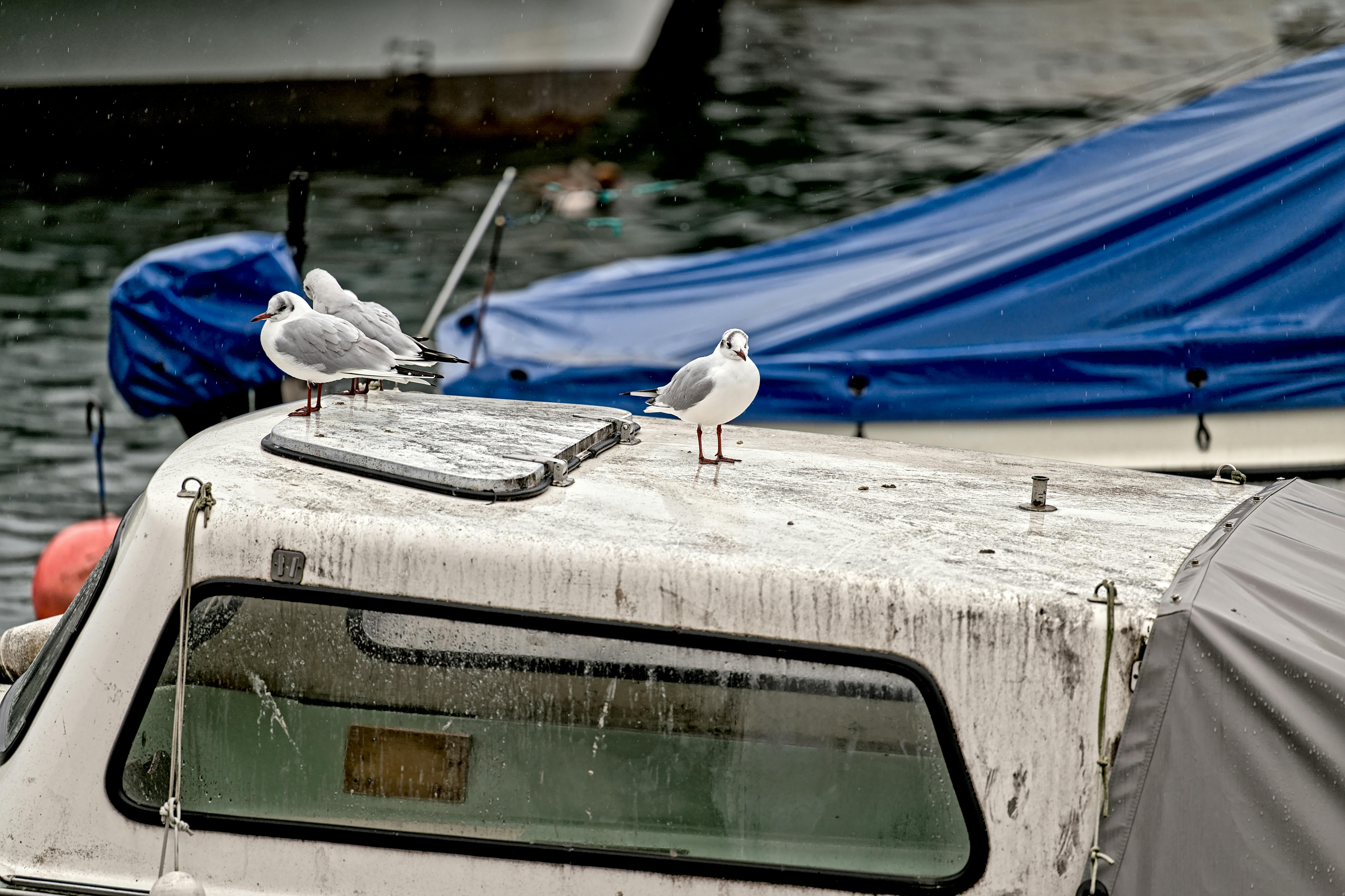 Weather Hazard Photos, Download The BEST Free Weather Hazard Stock ...