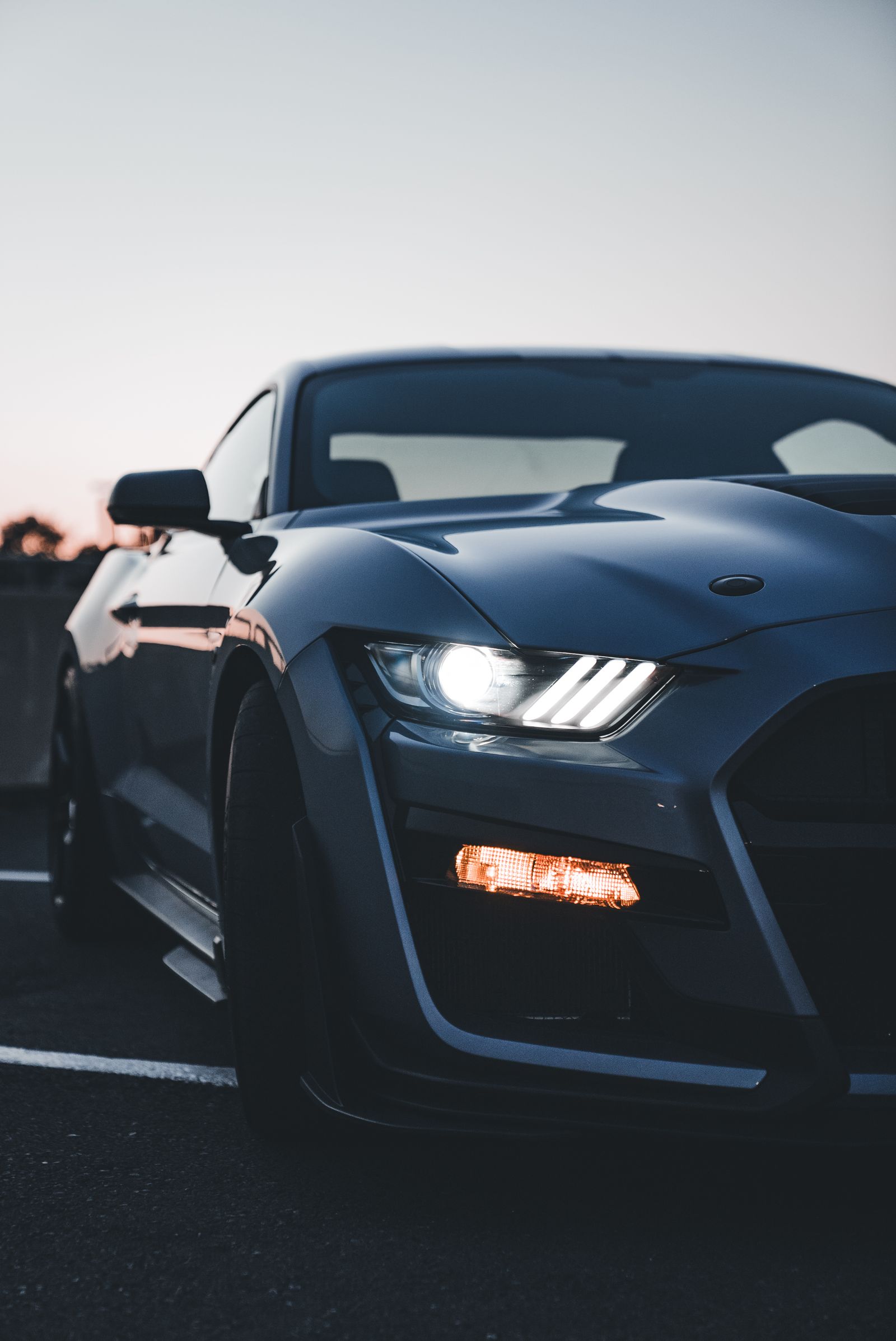 4k Mustang Shelby Photos, Download The BEST Free 4k Mustang Shelby ...