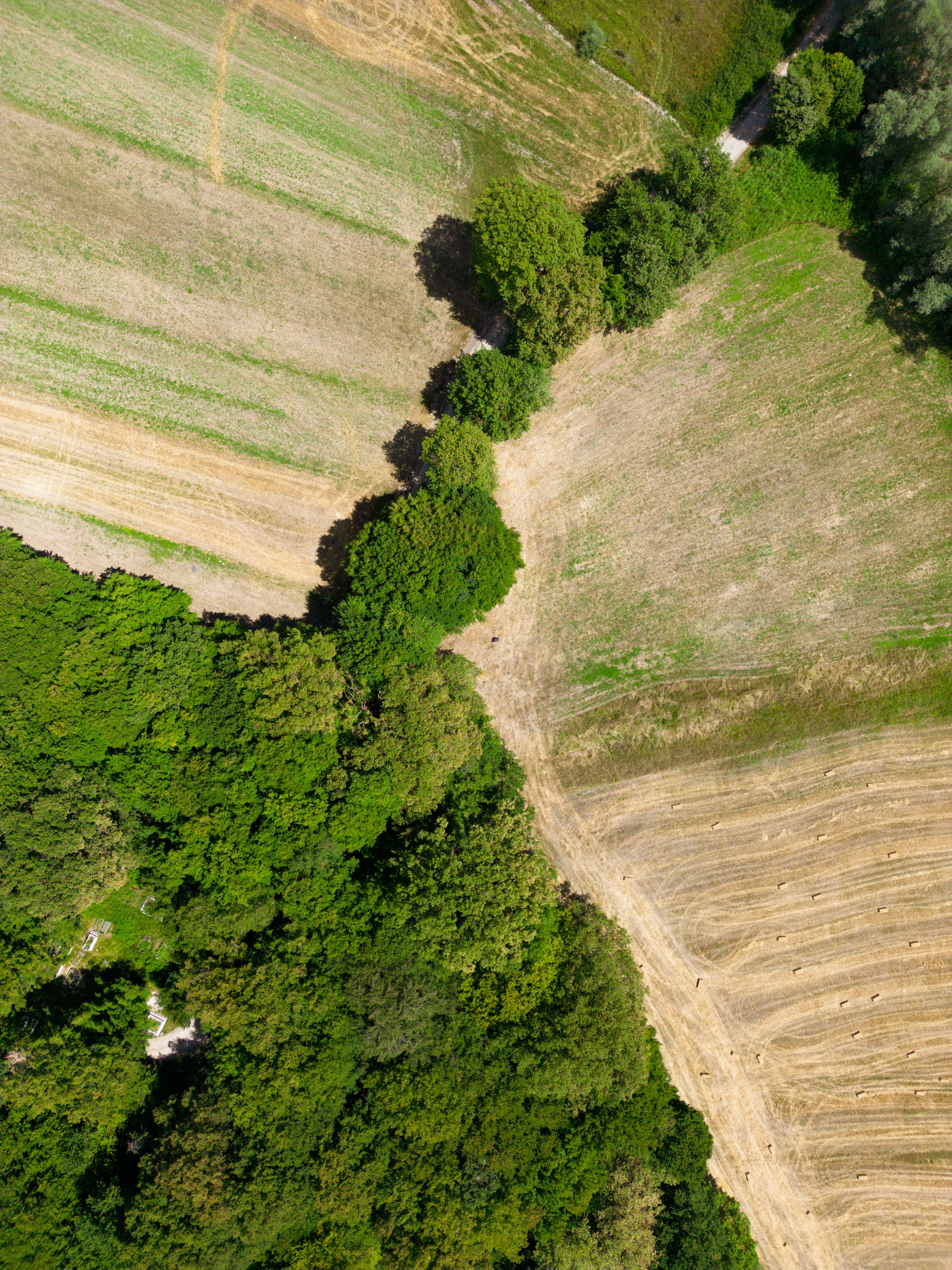 Aerial View of the Forest Between Fields · Free Stock Photo