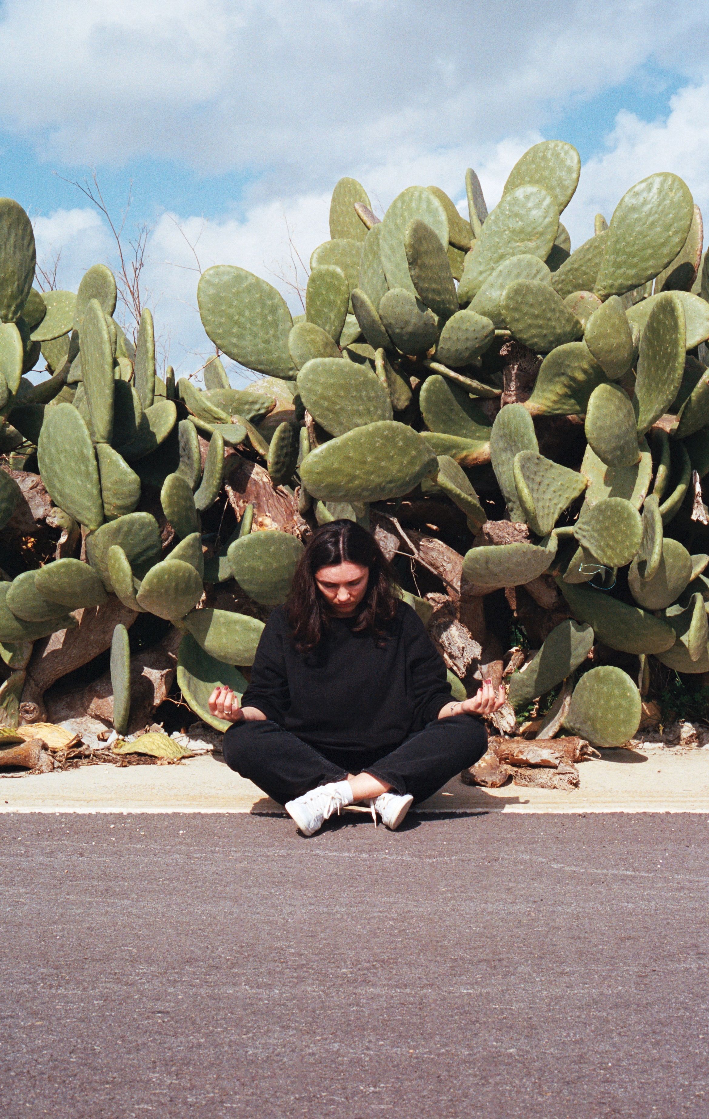 Woman Sitting on Road with Cactus Plants behind · Free Stock Photo