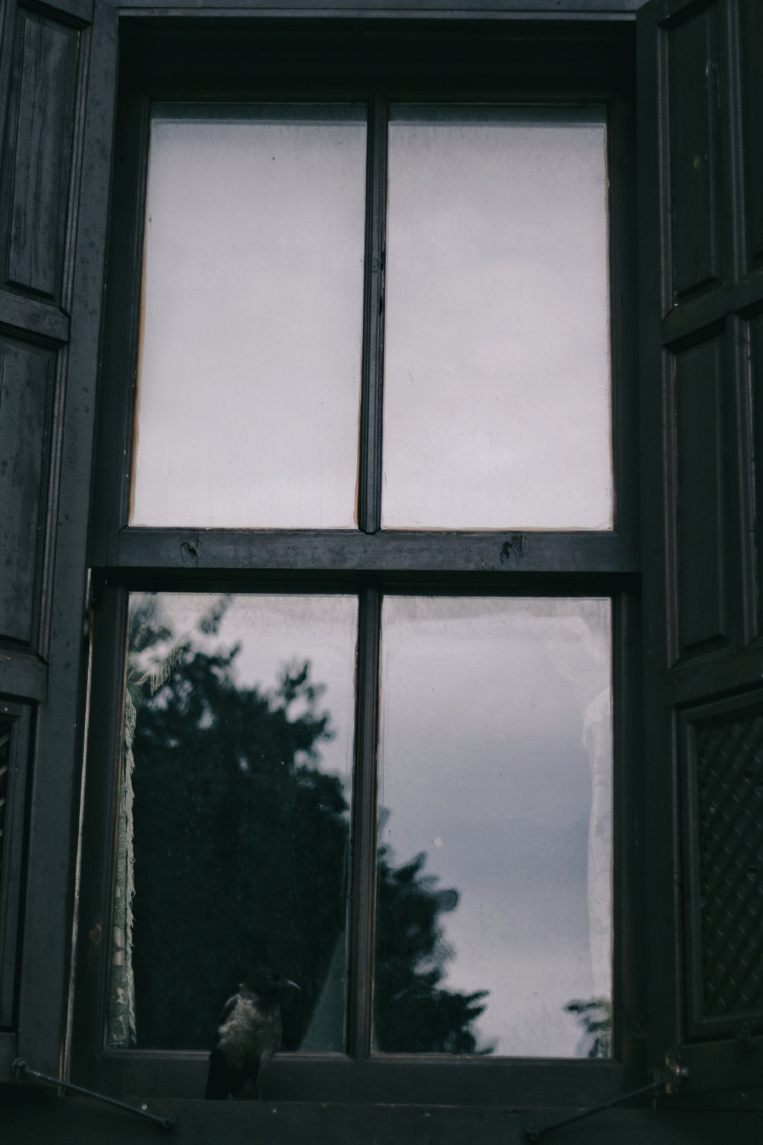 Black and White Picture of a Window with Wooden Frame and Shutters ...