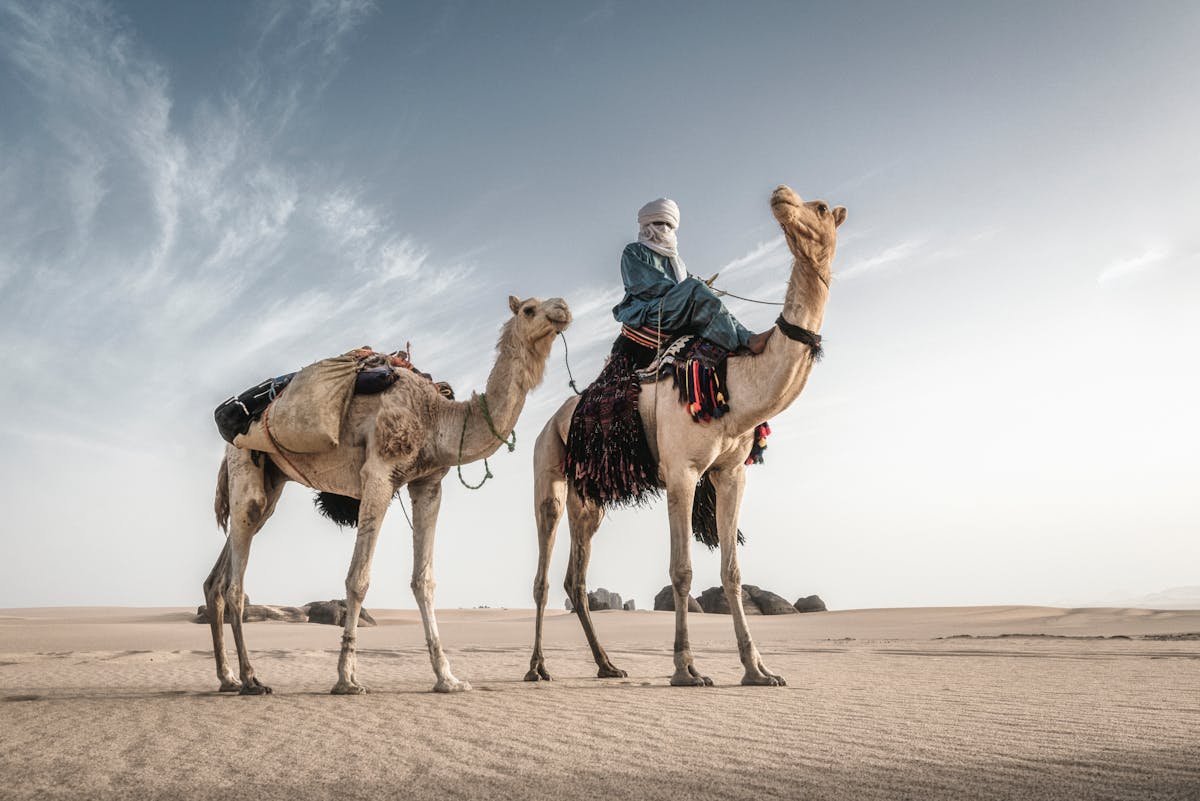 Bedouin Photos, Download The BEST Free Bedouin Stock Photos & HD Images