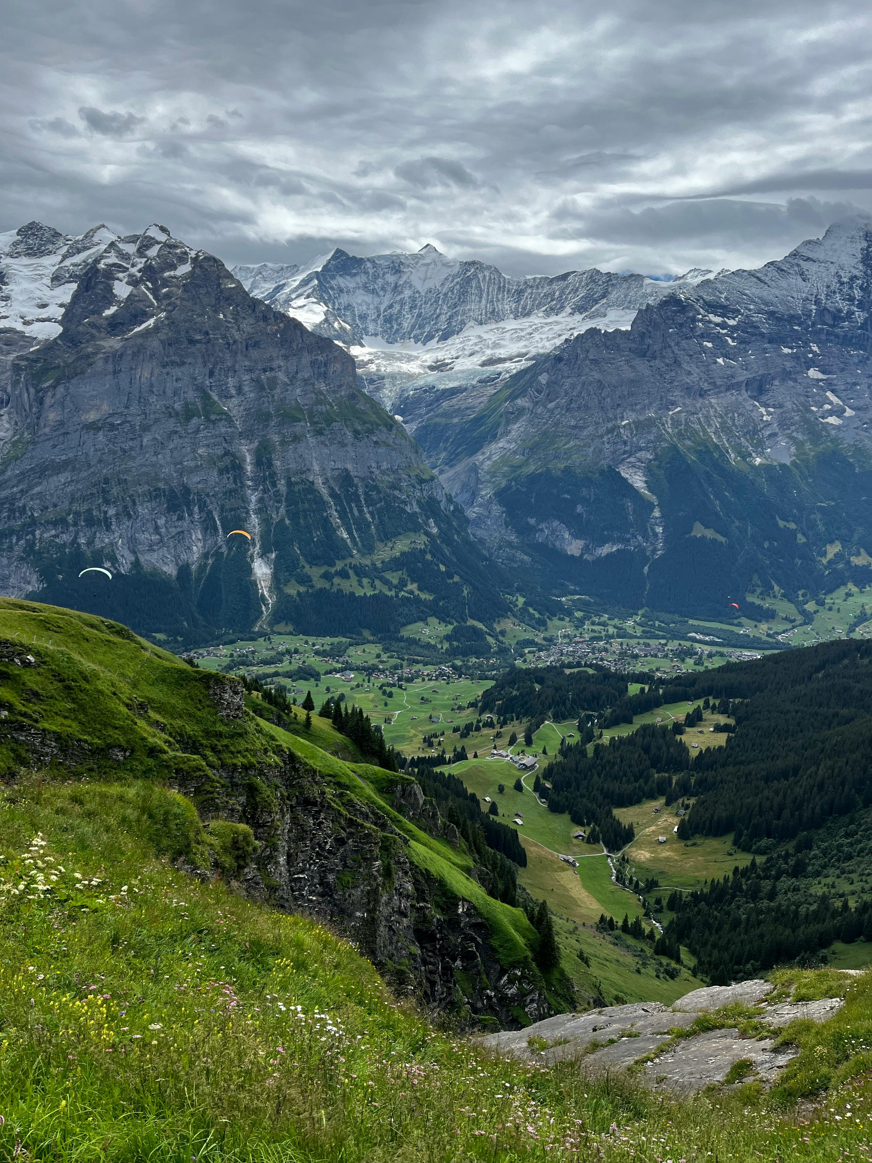 Ngôi Nhà Gỗ Màu Nâu Trên Cánh đồng Cỏ Xanh Gần Cây Xanh Và Núi · Ảnh có ...
