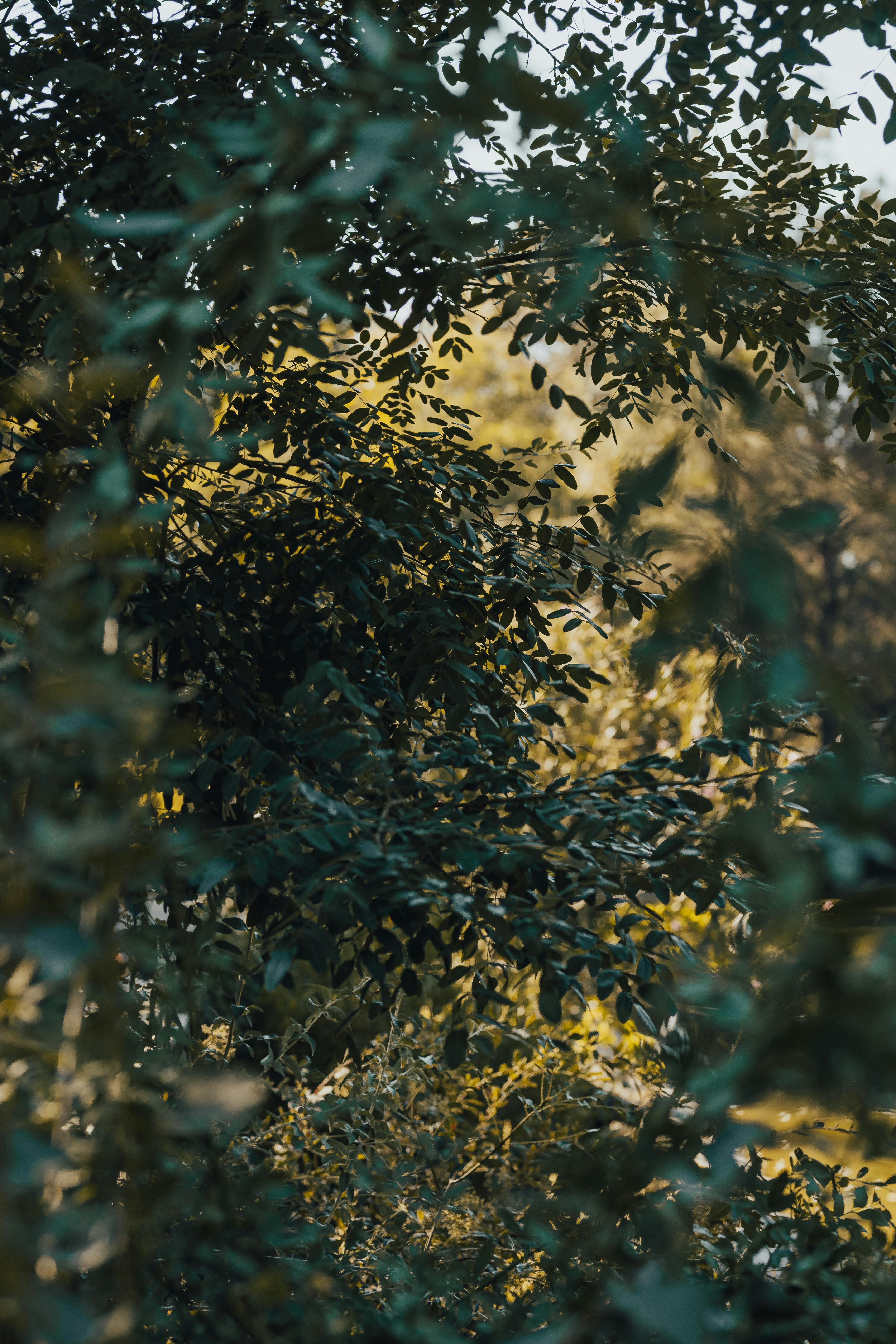 Zip Code Photos, Download The BEST Free Zip Code Stock Photos & HD Images