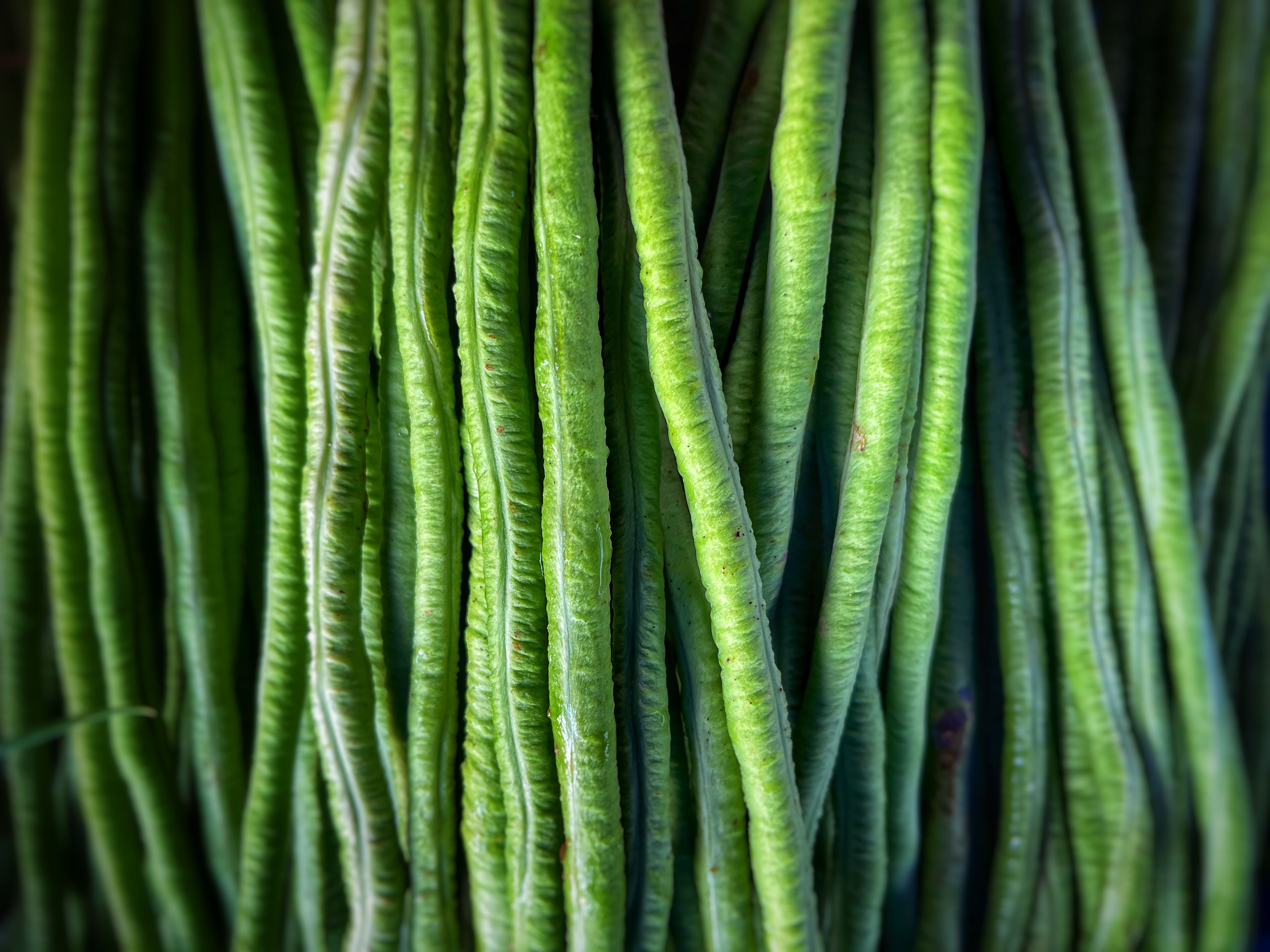 Close-up of a Bunch of Asparagus Beans · Free Stock Photo