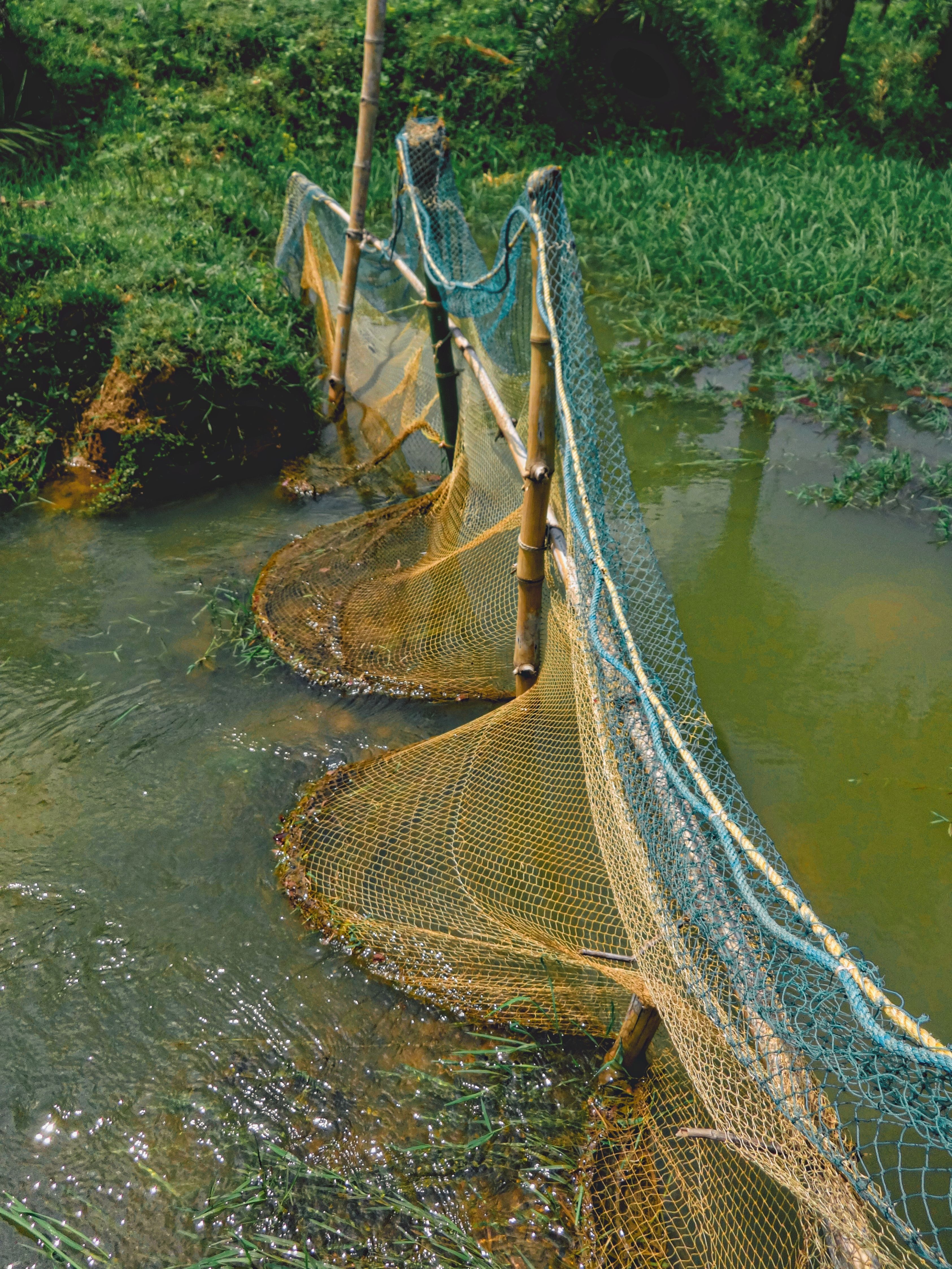Agricultural Nets Photos, Download The BEST Free Agricultural Nets ...