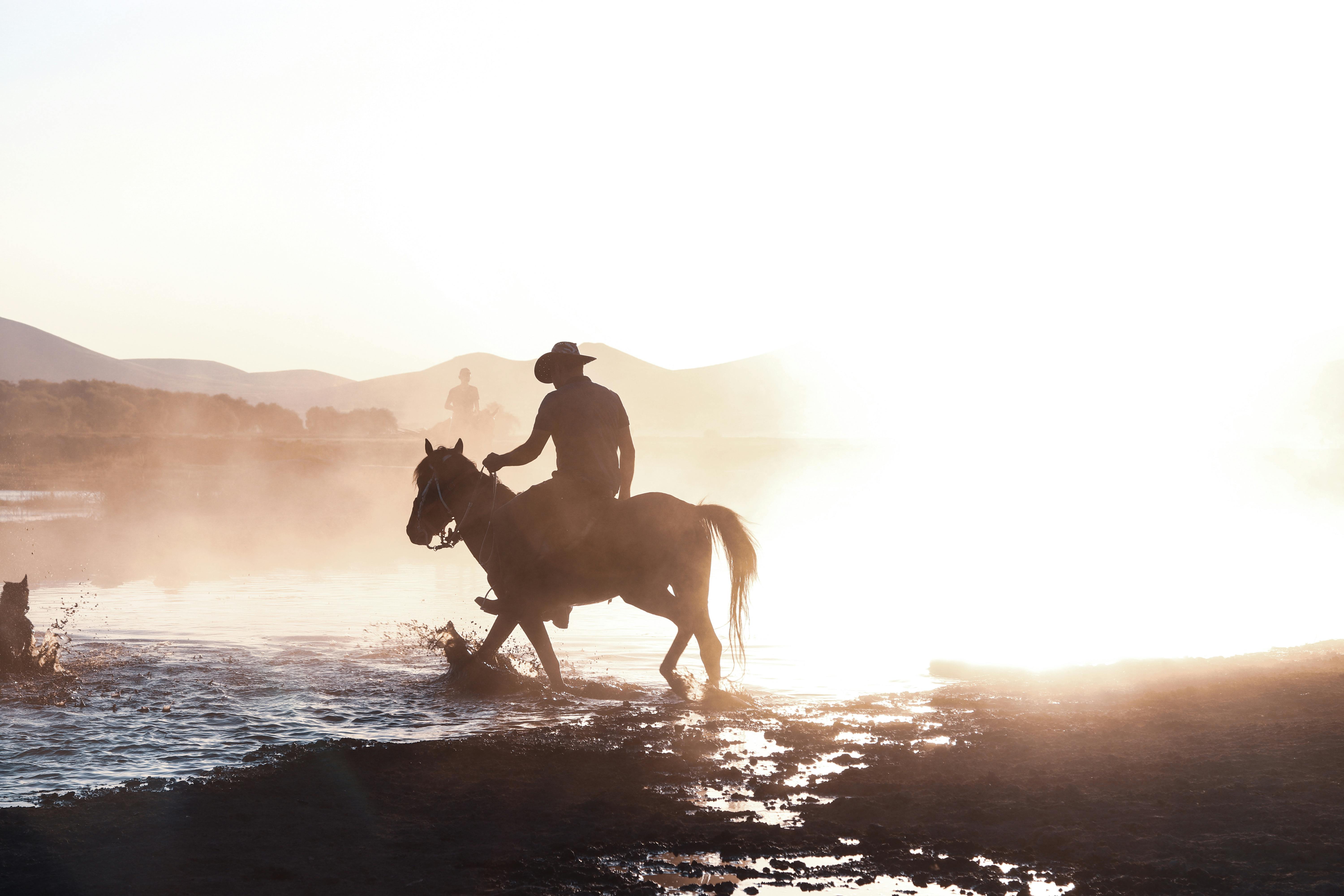Photo gratuite de atmosphérique, audacieux, aventure, calme, campagne, chapeau de cow boy ...