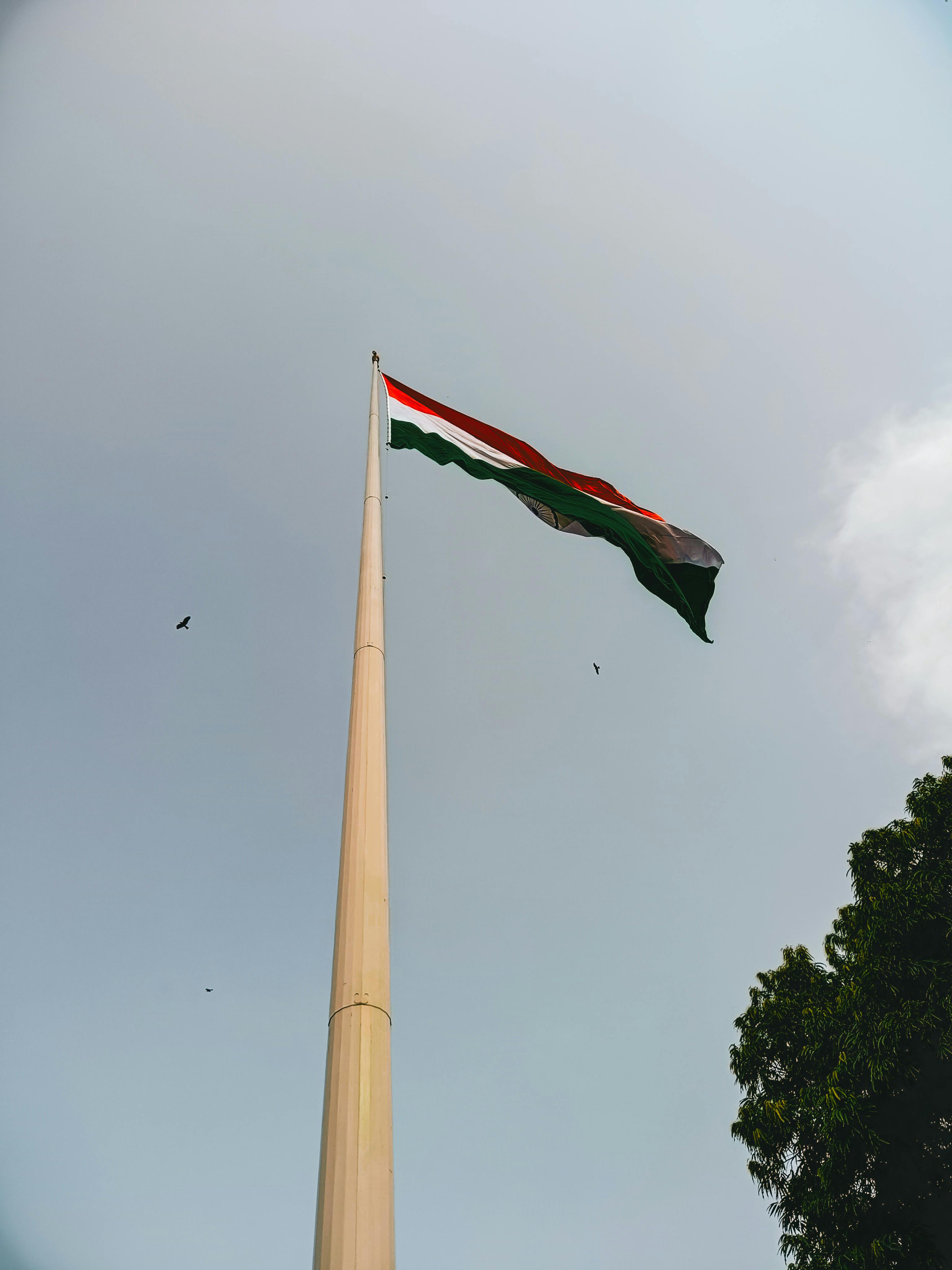 Aniket Mehtani - 사진