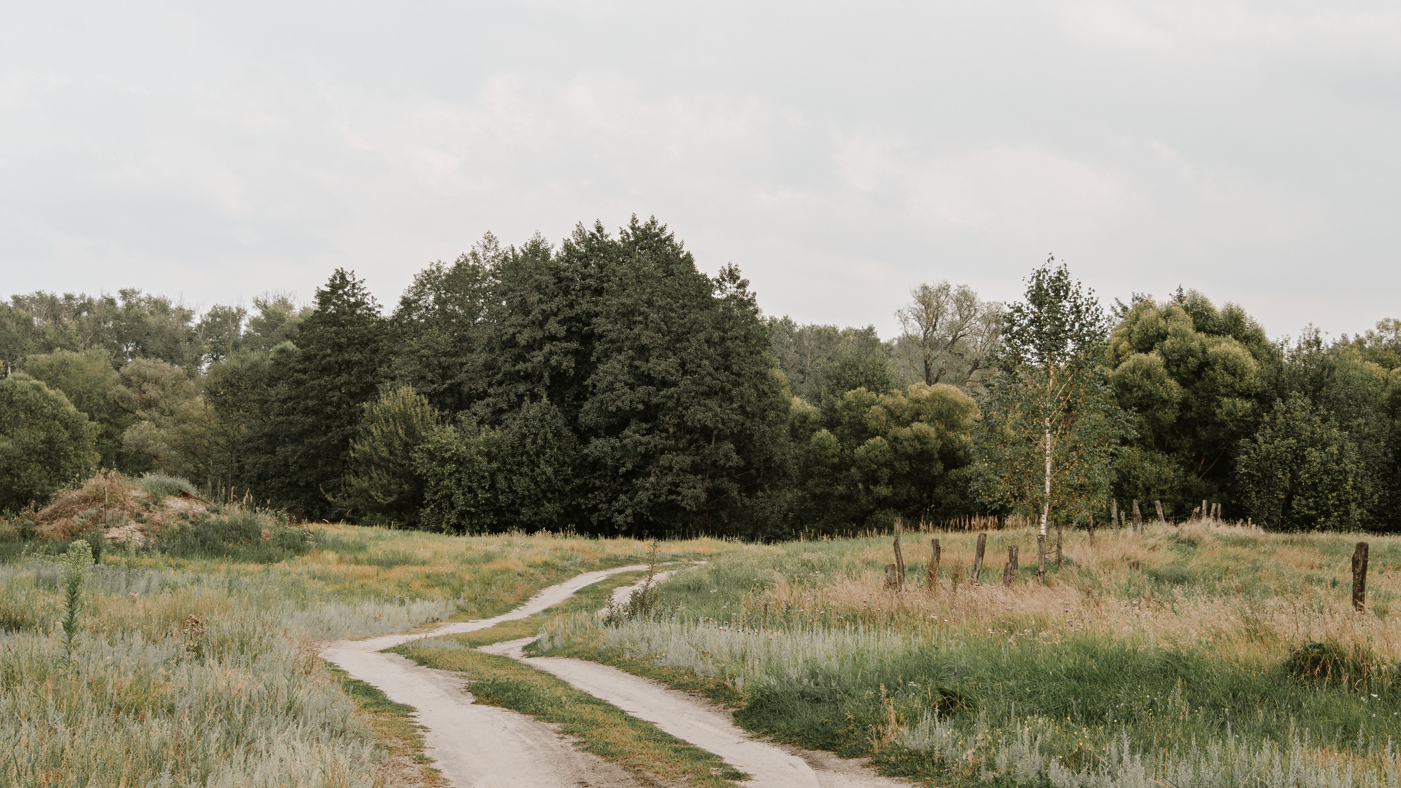 Dirt Road in Countryside · Free Stock Photo