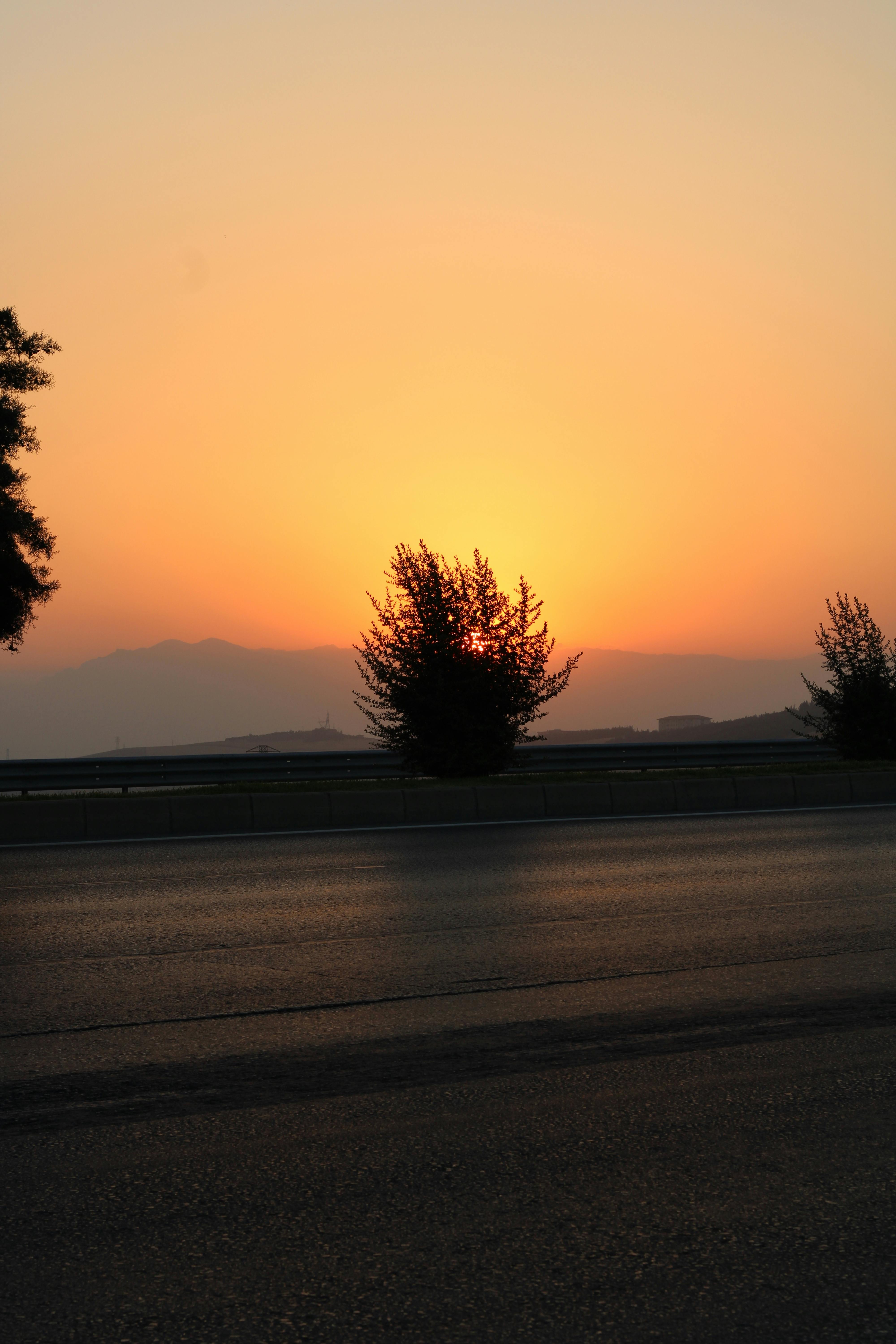 Mustafa Varol - 사진