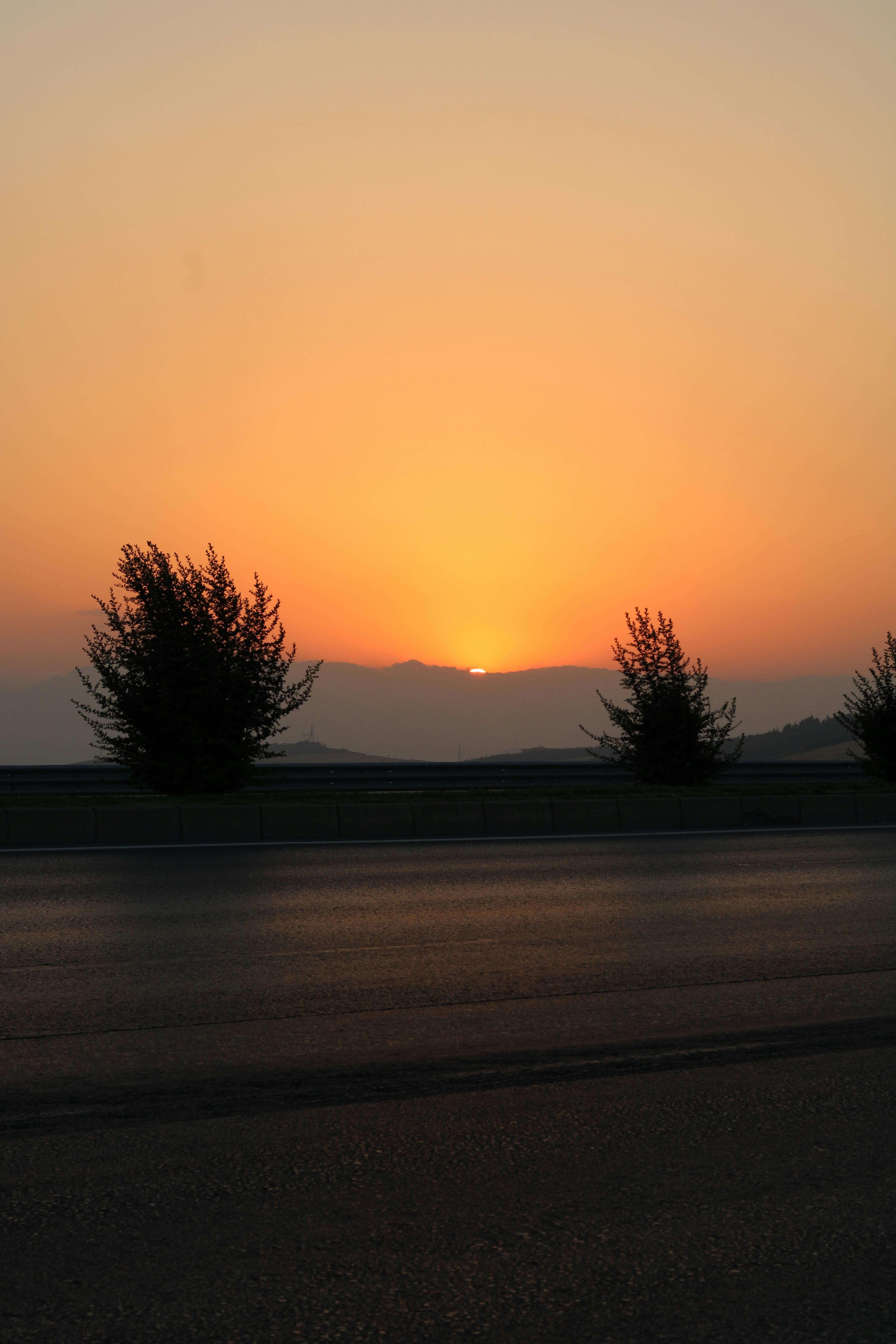 Mustafa Varol - 사진