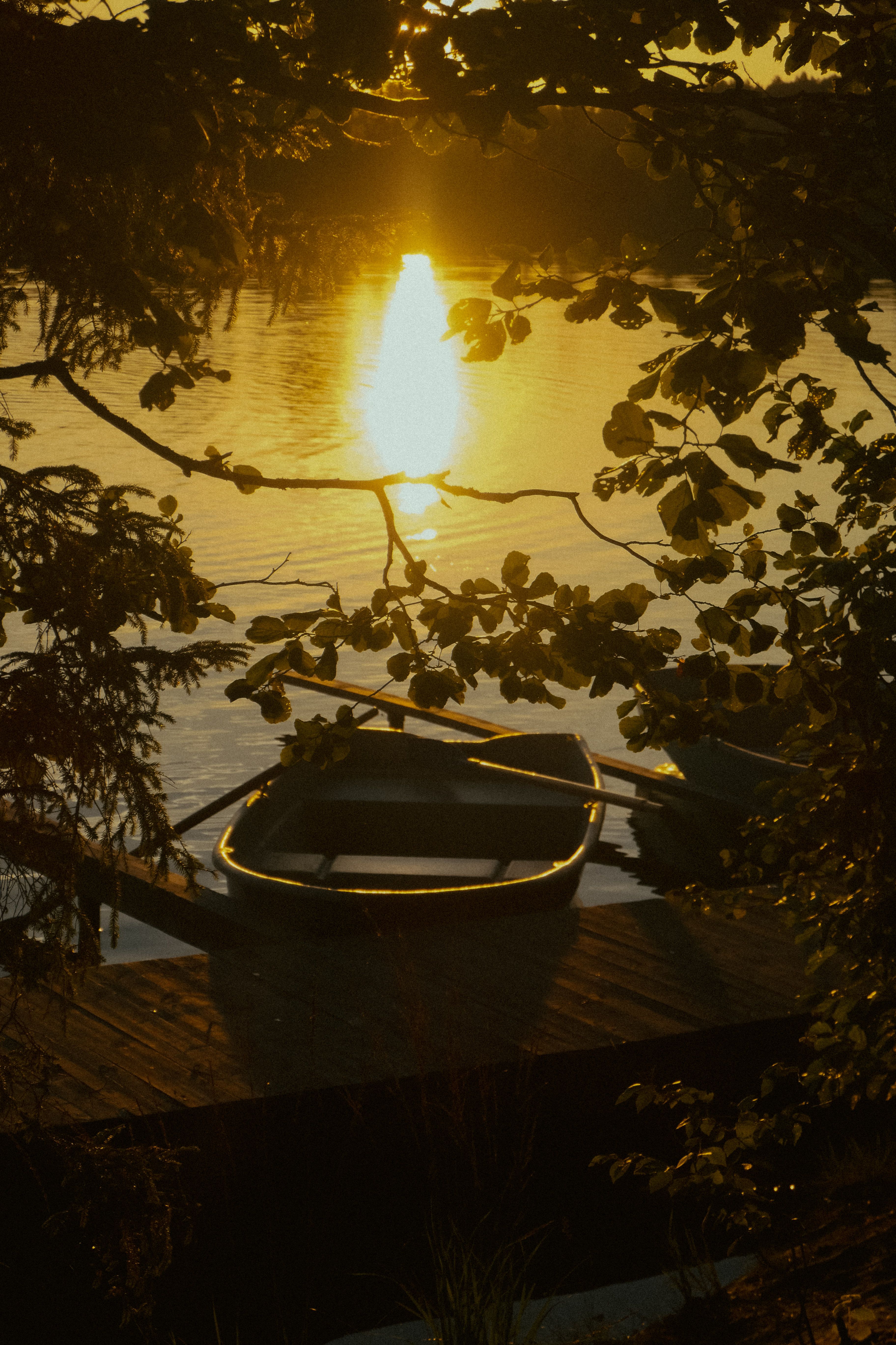Sunlight Reflecting in River · Free Stock Photo