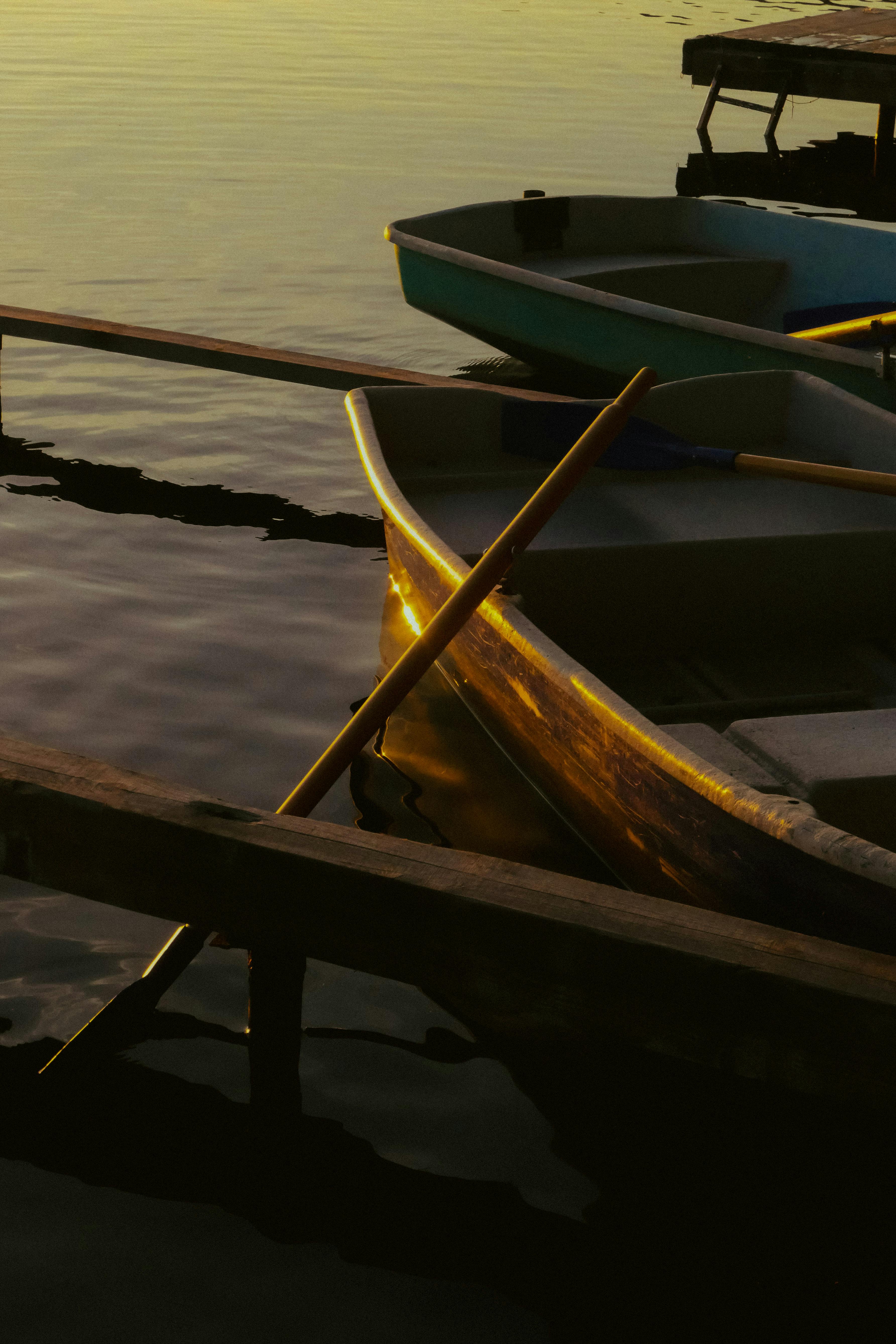 Oars Photos, Download The BEST Free Oars Stock Photos & HD Images