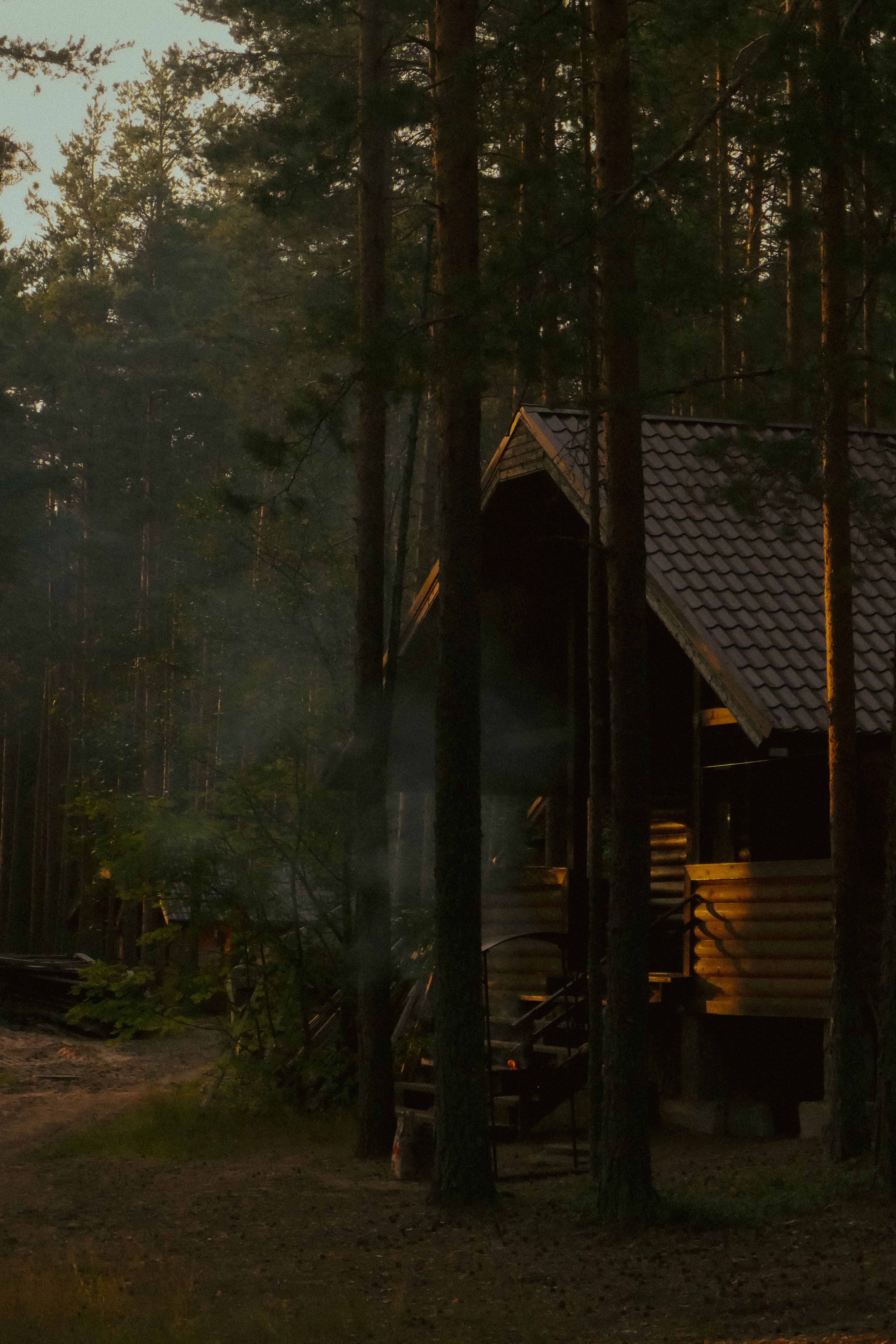 House in Deep Forest · Free Stock Photo
