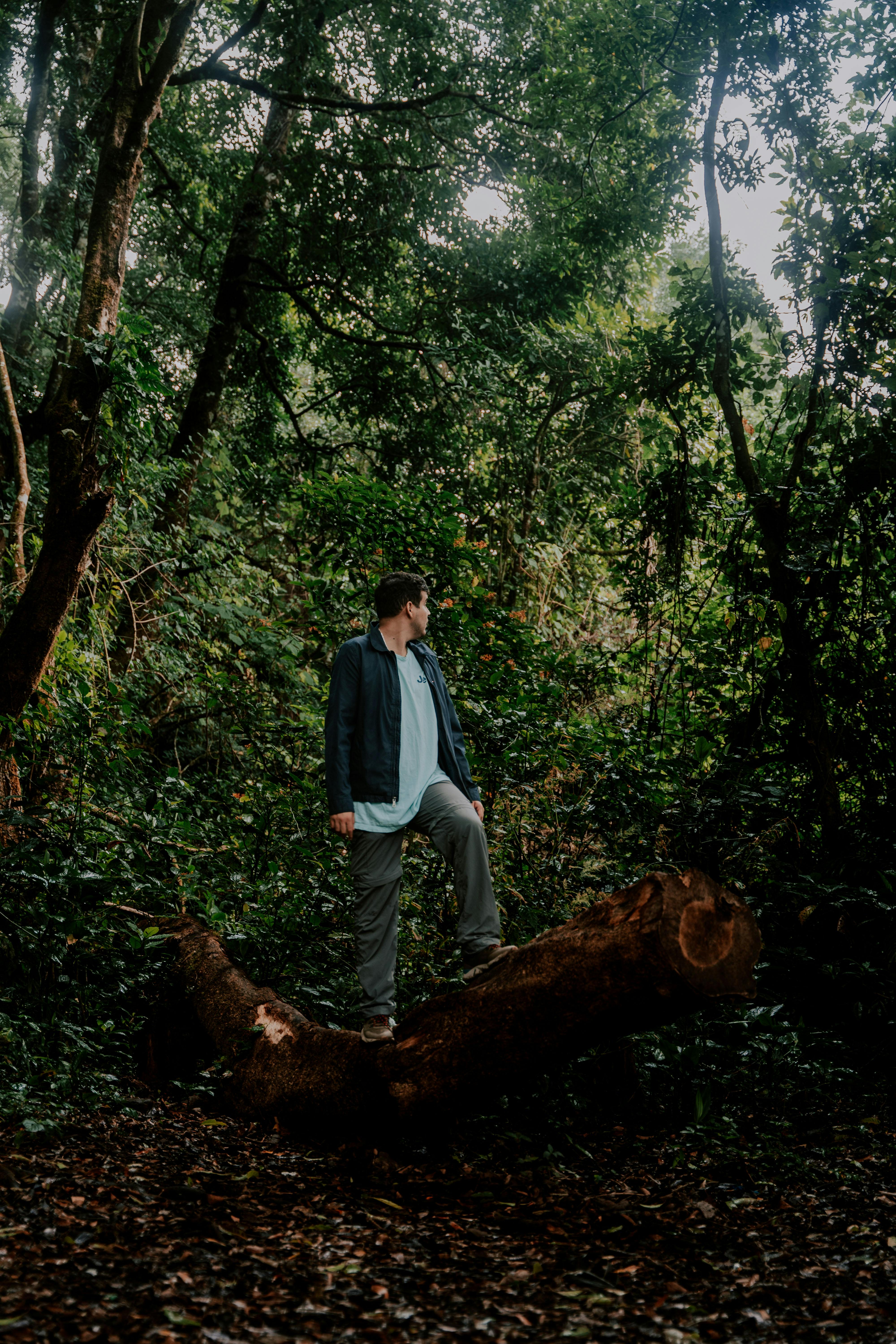 Man in Forest · Free Stock Photo