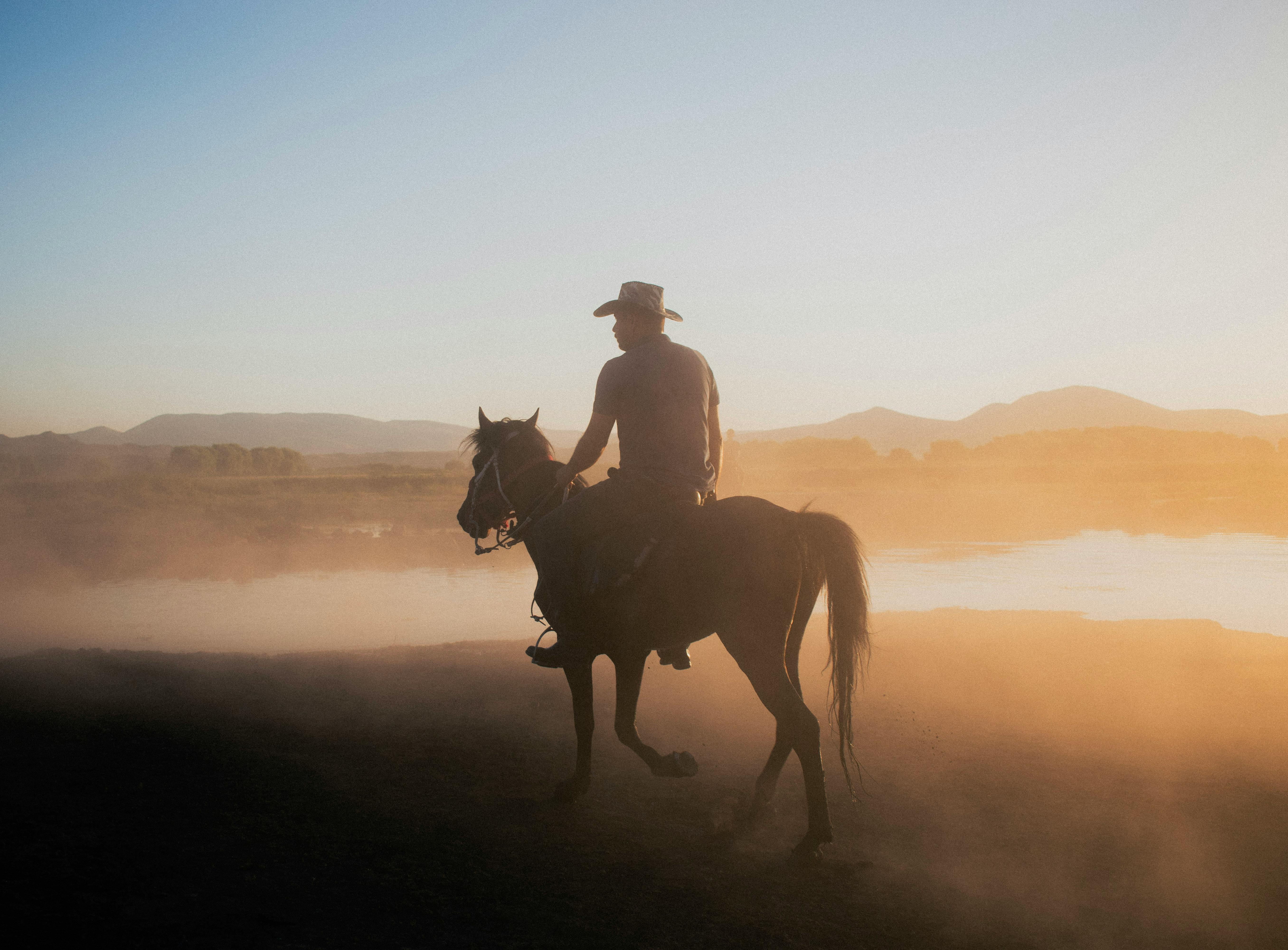 Cowboy Riding a Horse at Dawn · Free Stock Photo