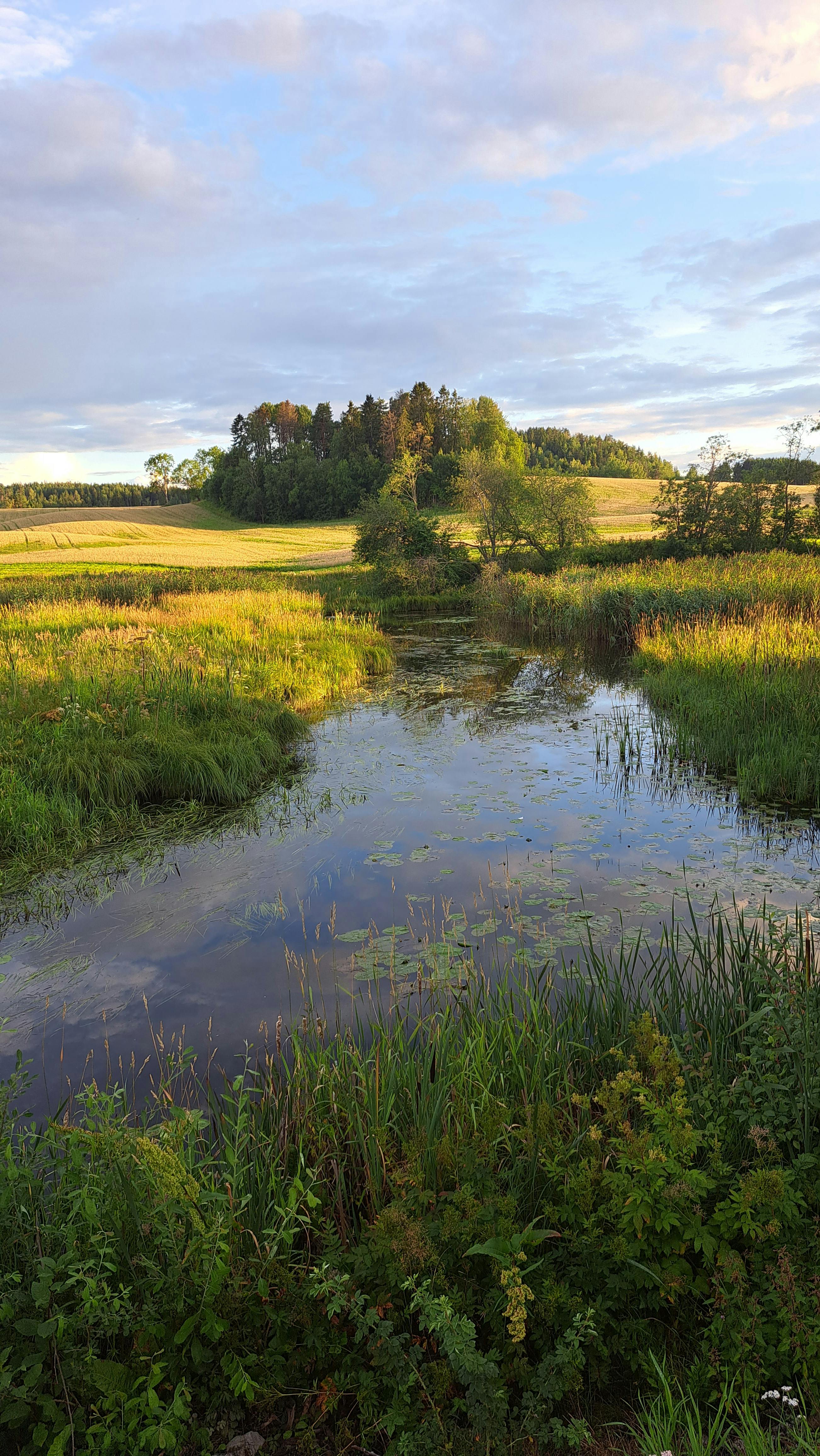 Summer Rural Landscape with River · Free Stock Photo