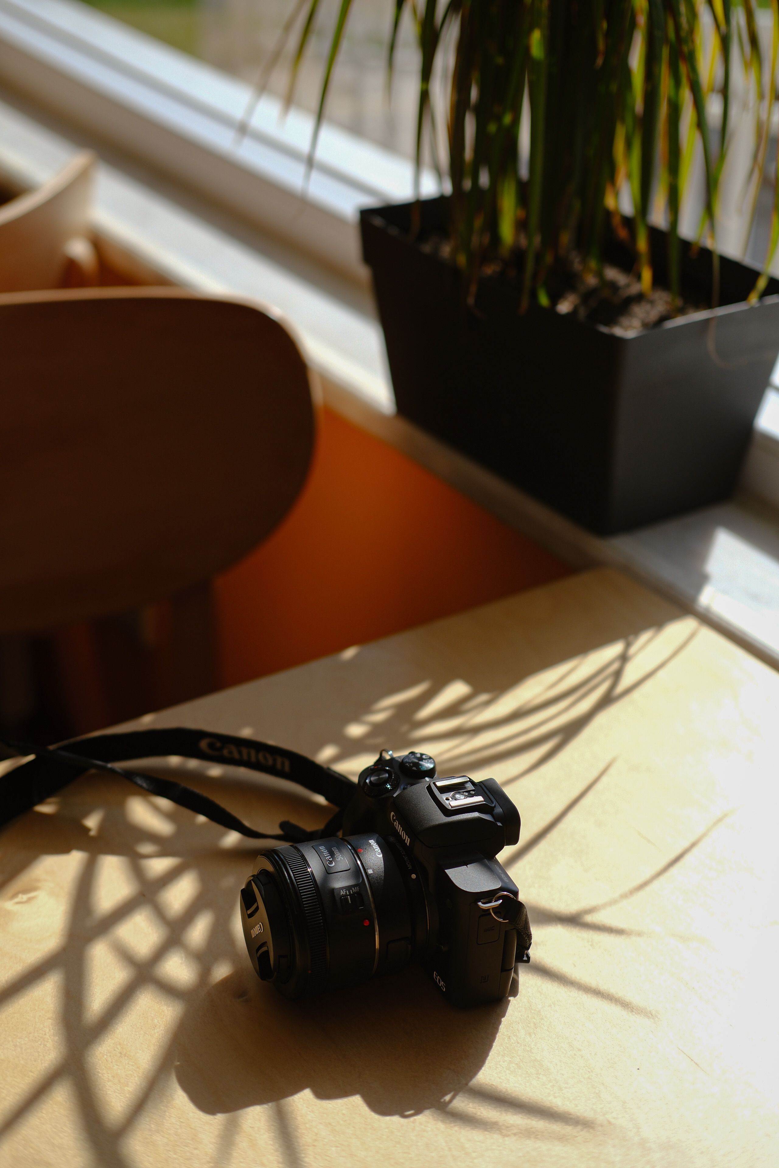 Camera on Wooden Table in Sunlit · Free Stock Photo