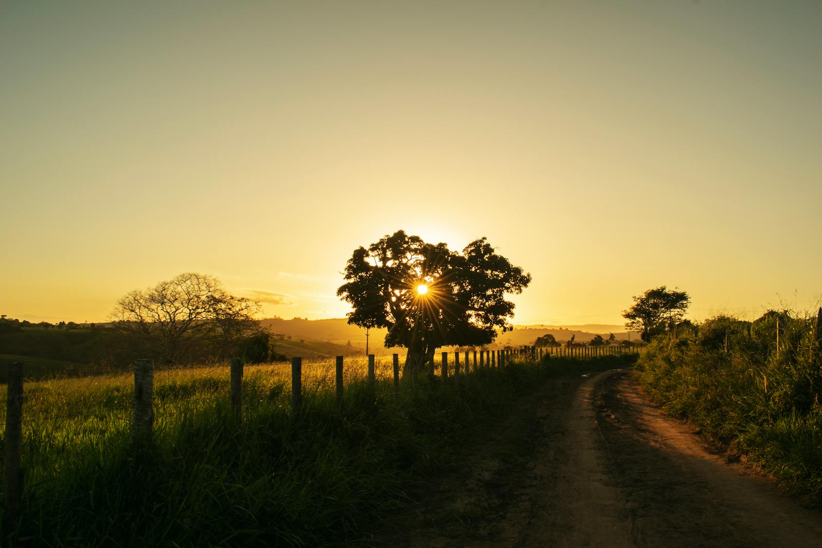 Sun Rising Photos, Download The BEST Free Sun Rising Stock Photos & HD ...