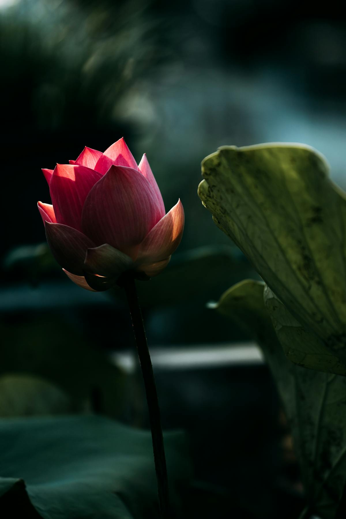 Single Cell Sequencing Photos, Download The BEST Free Single Cell ...