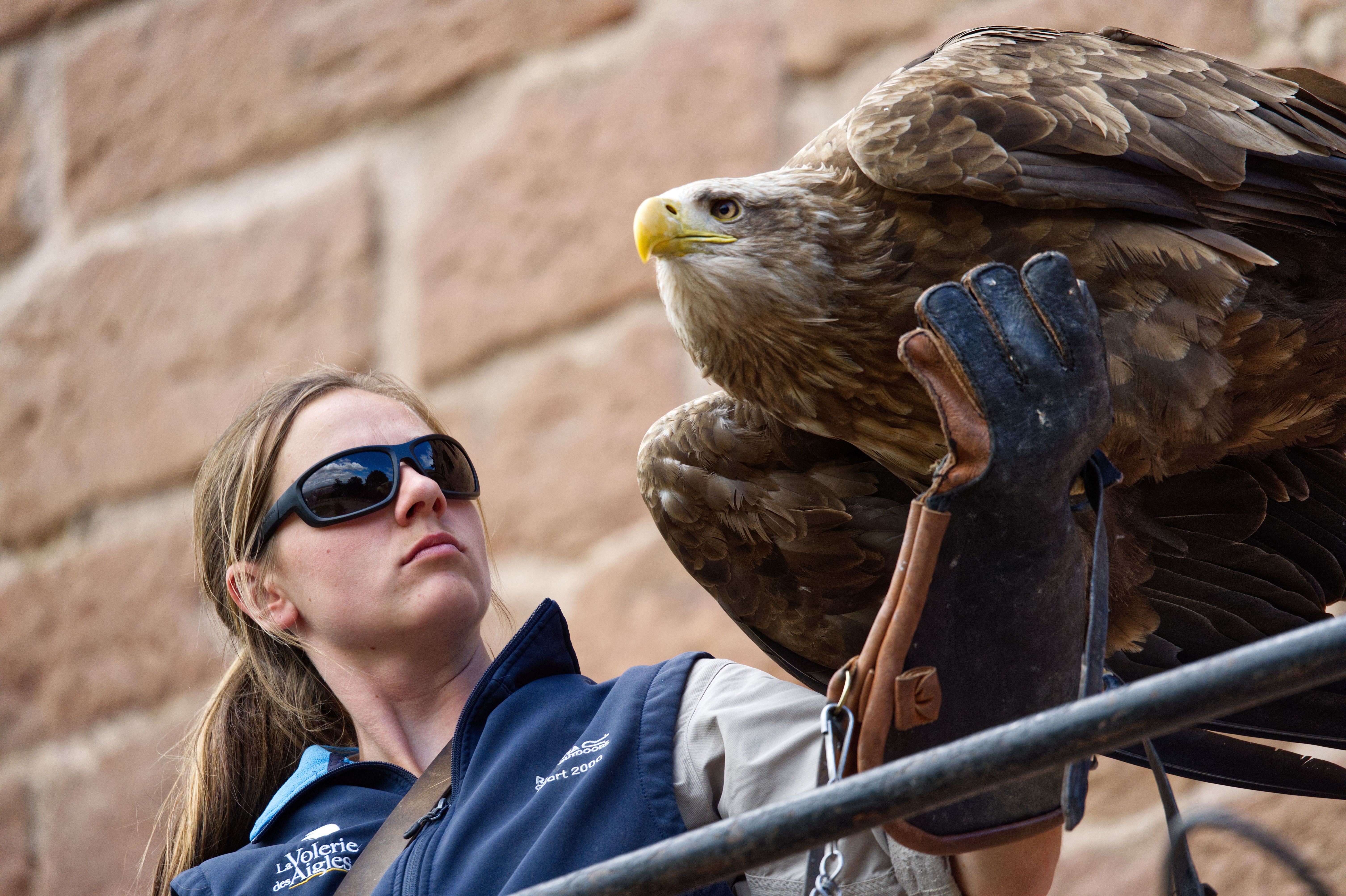 Woman with Eagle · Free Stock Photo