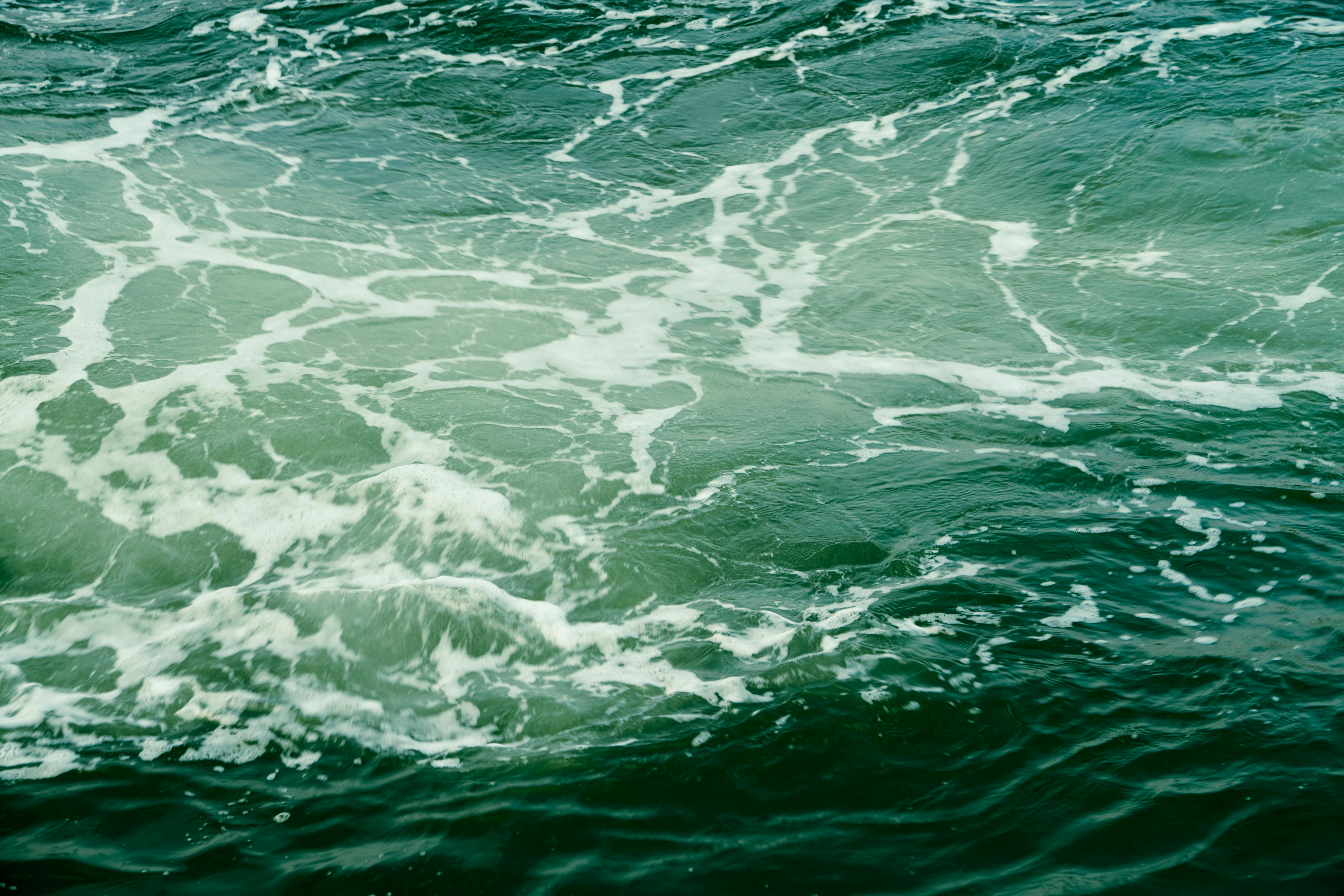 Free stock photo of abstract, beach, foam, h2o, liquidity, ocean ...