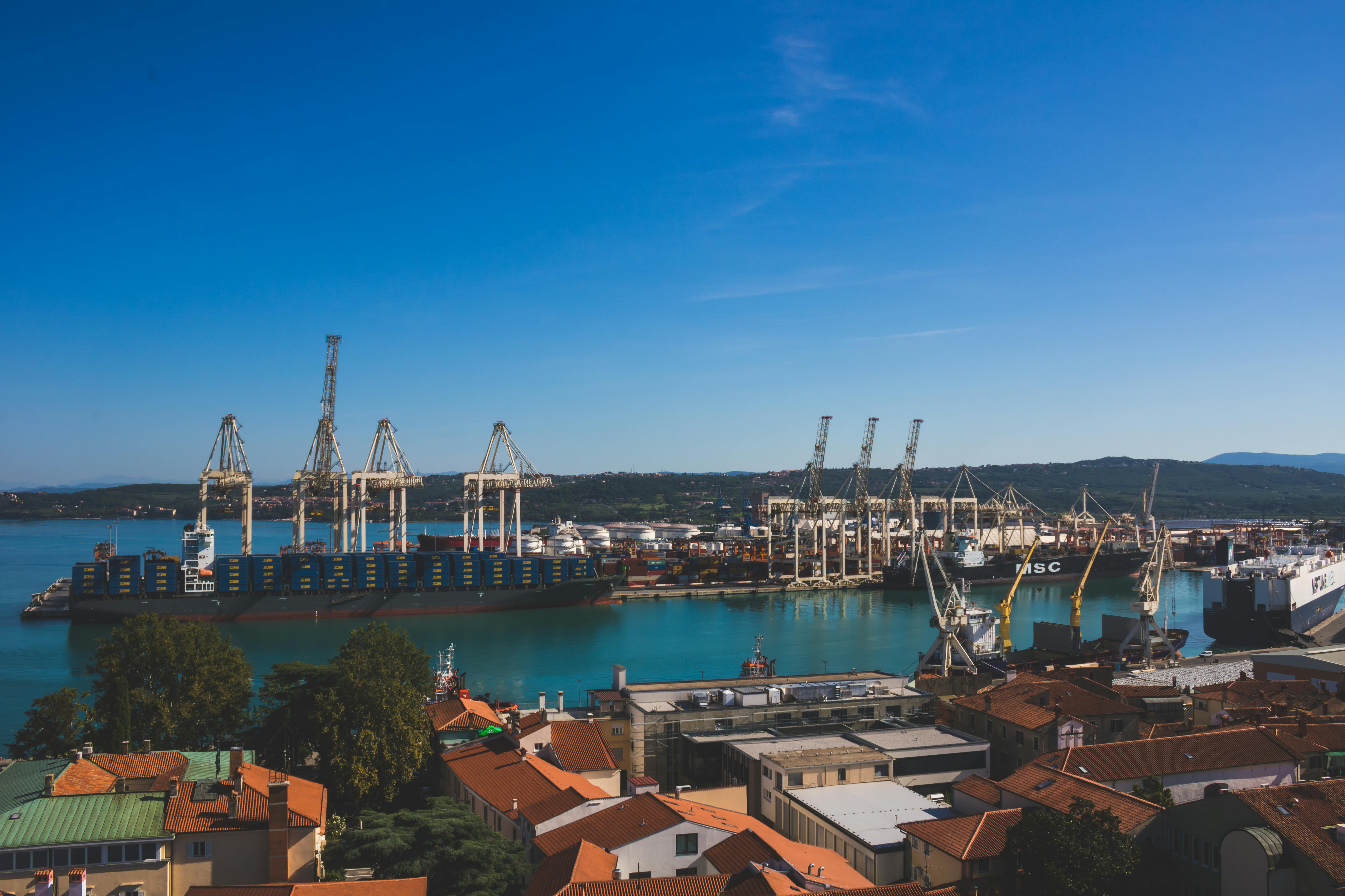 Djordje Ristic - Photography