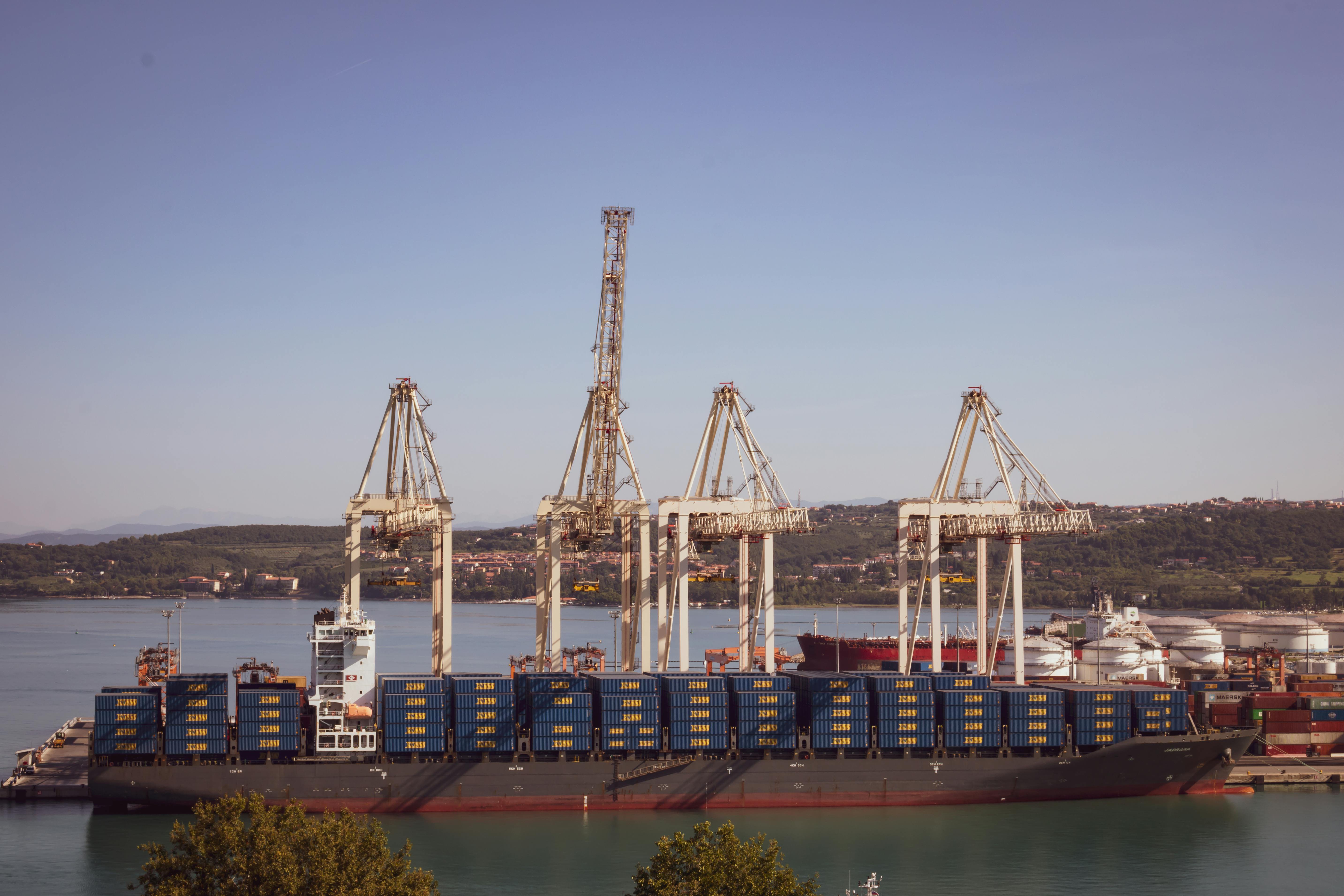 Djordje Ristic - Photography