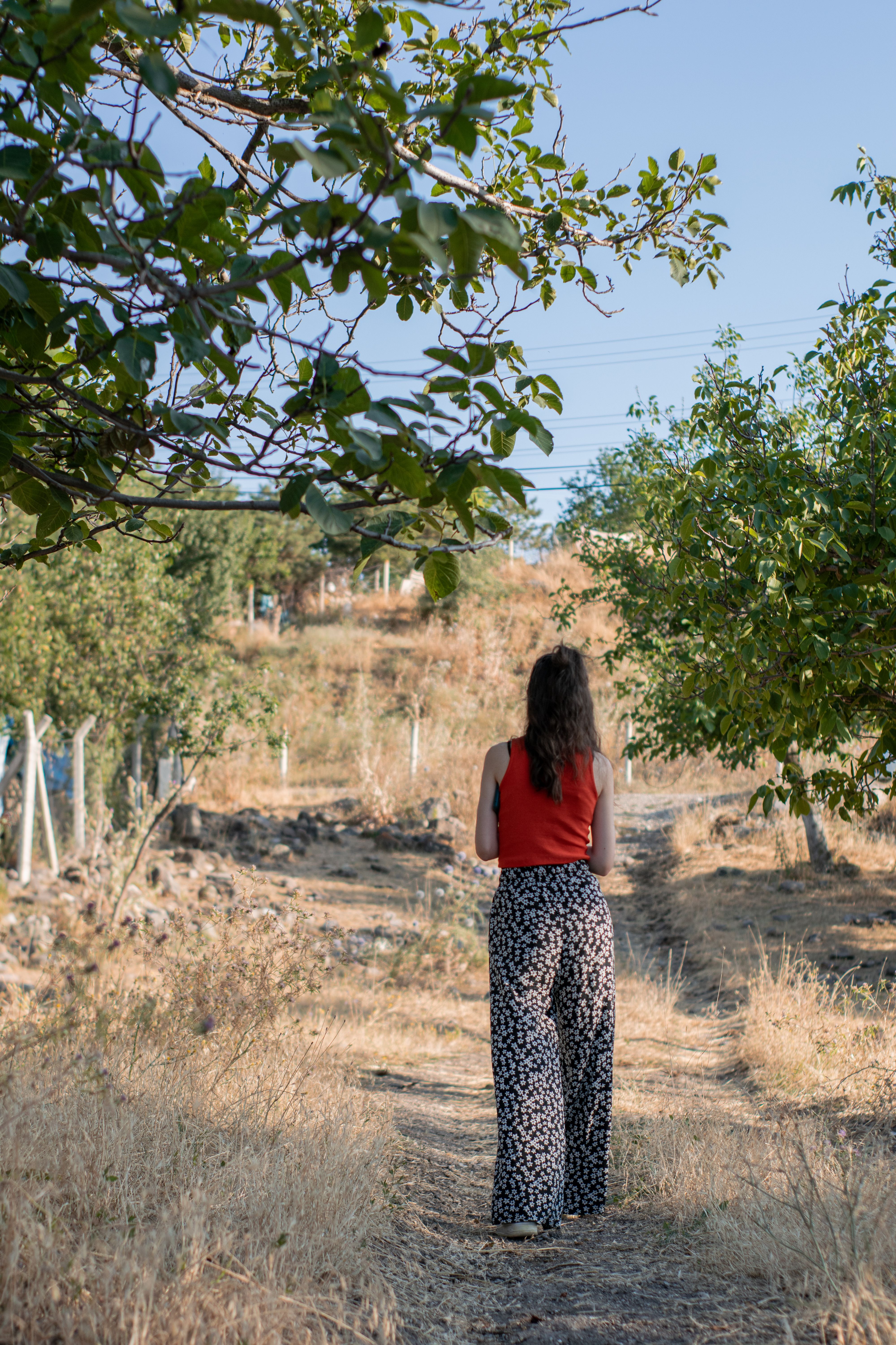 Back View of a Woman Standing in a Dry Field · Free Stock Photo