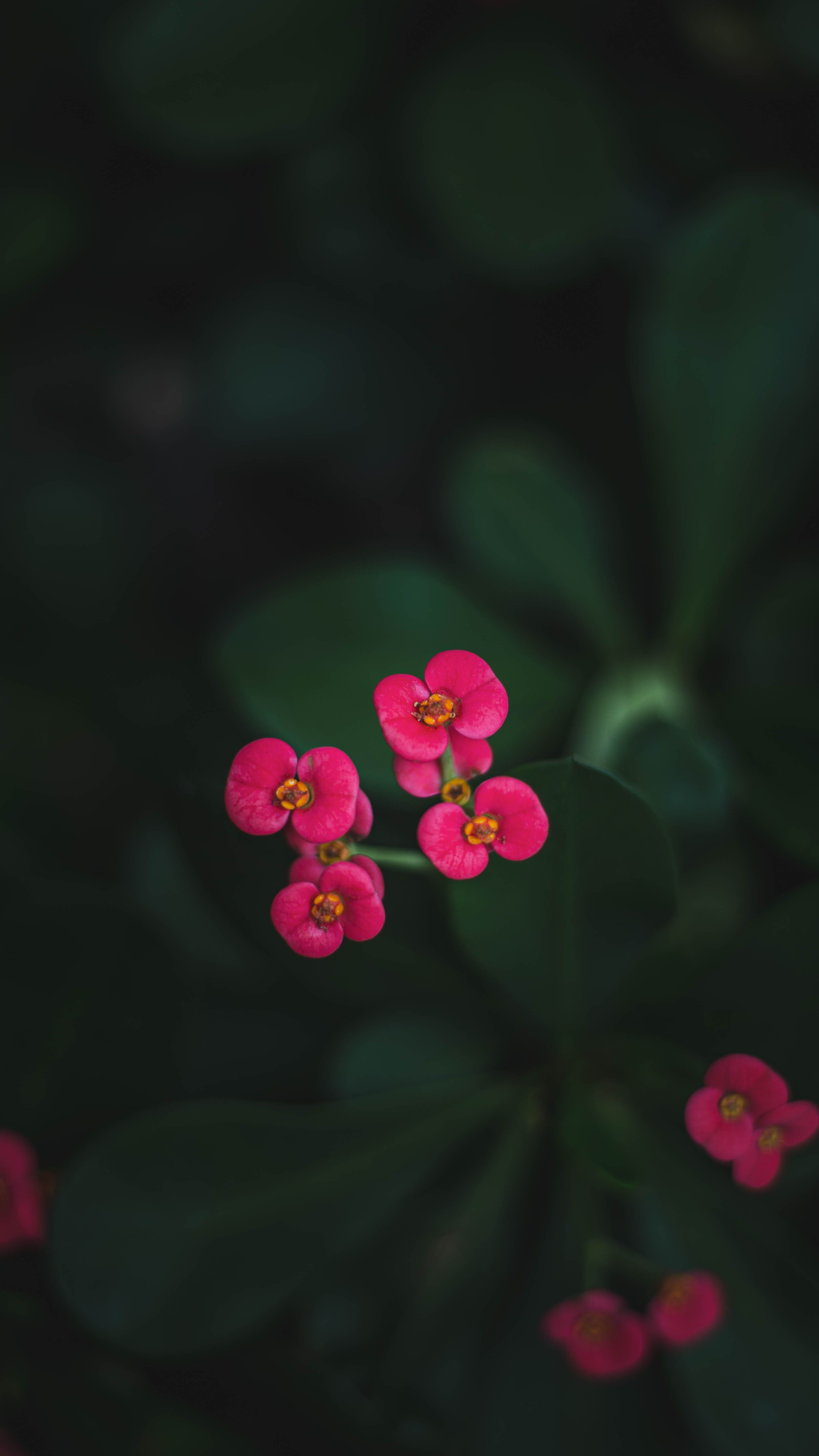 Grams Photos, Download The BEST Free Grams Stock Photos & HD Images