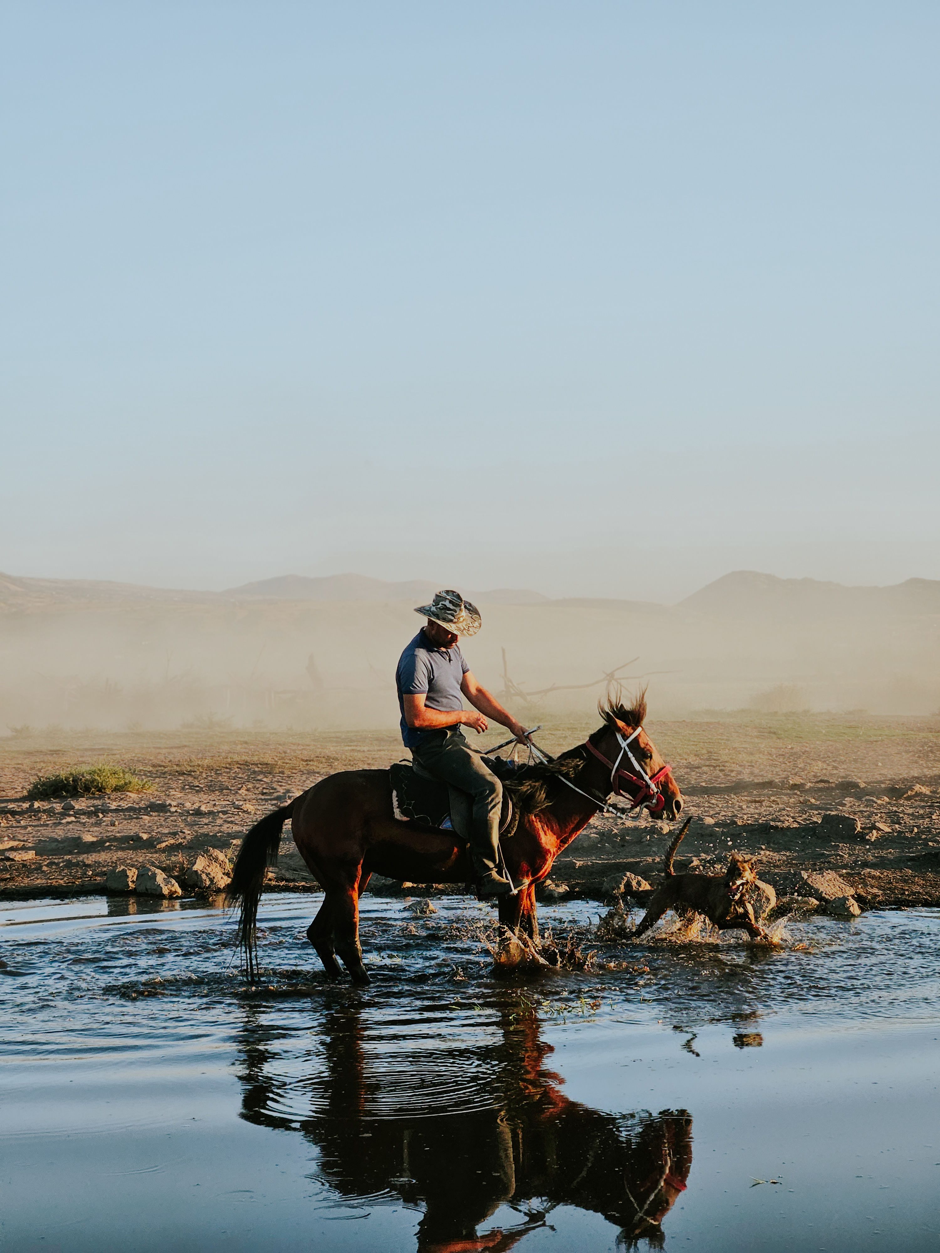 Men on Horses at Farm · Free Stock Photo
