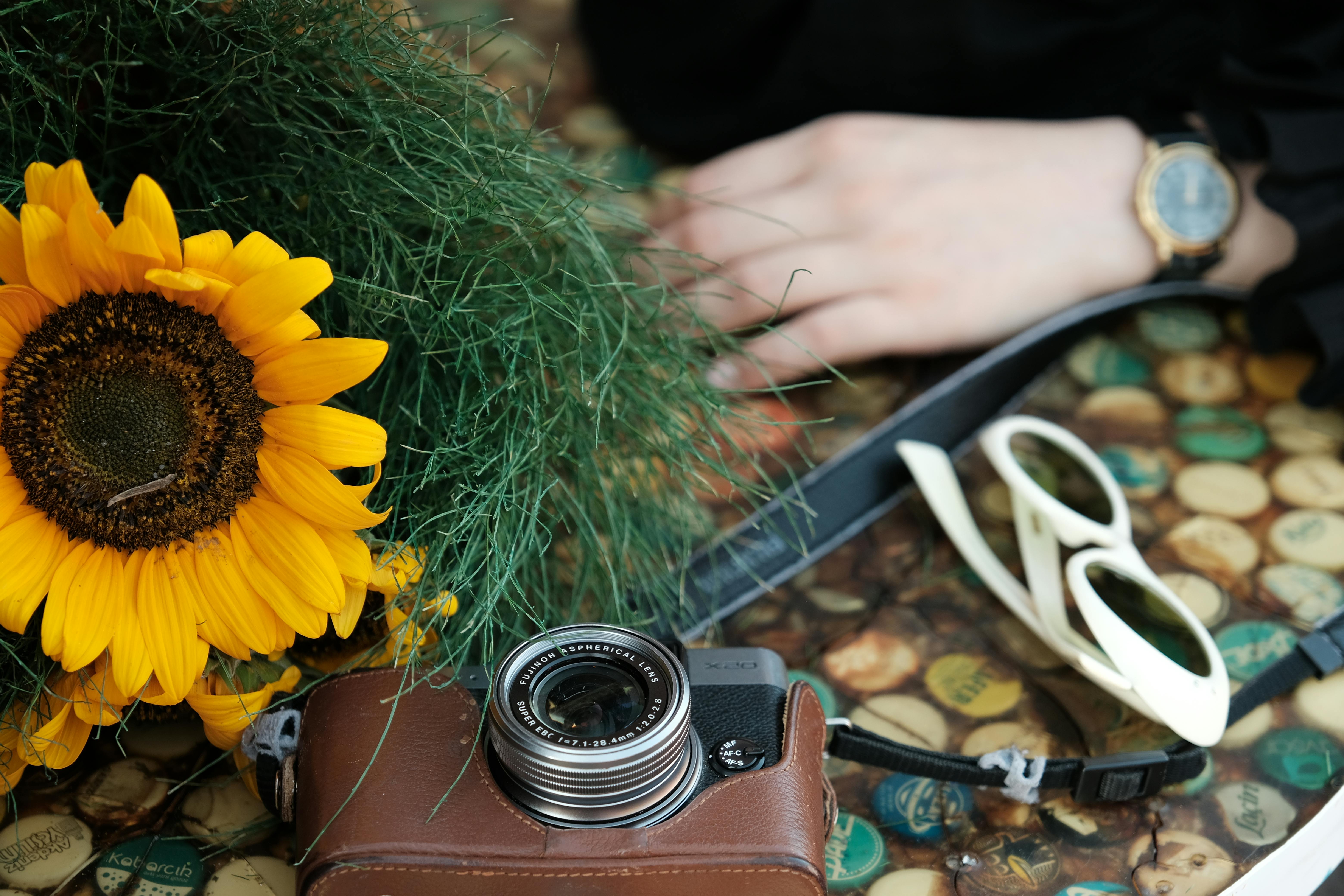 Sunglasses next to a Camera and a Sunflower · Free Stock Photo