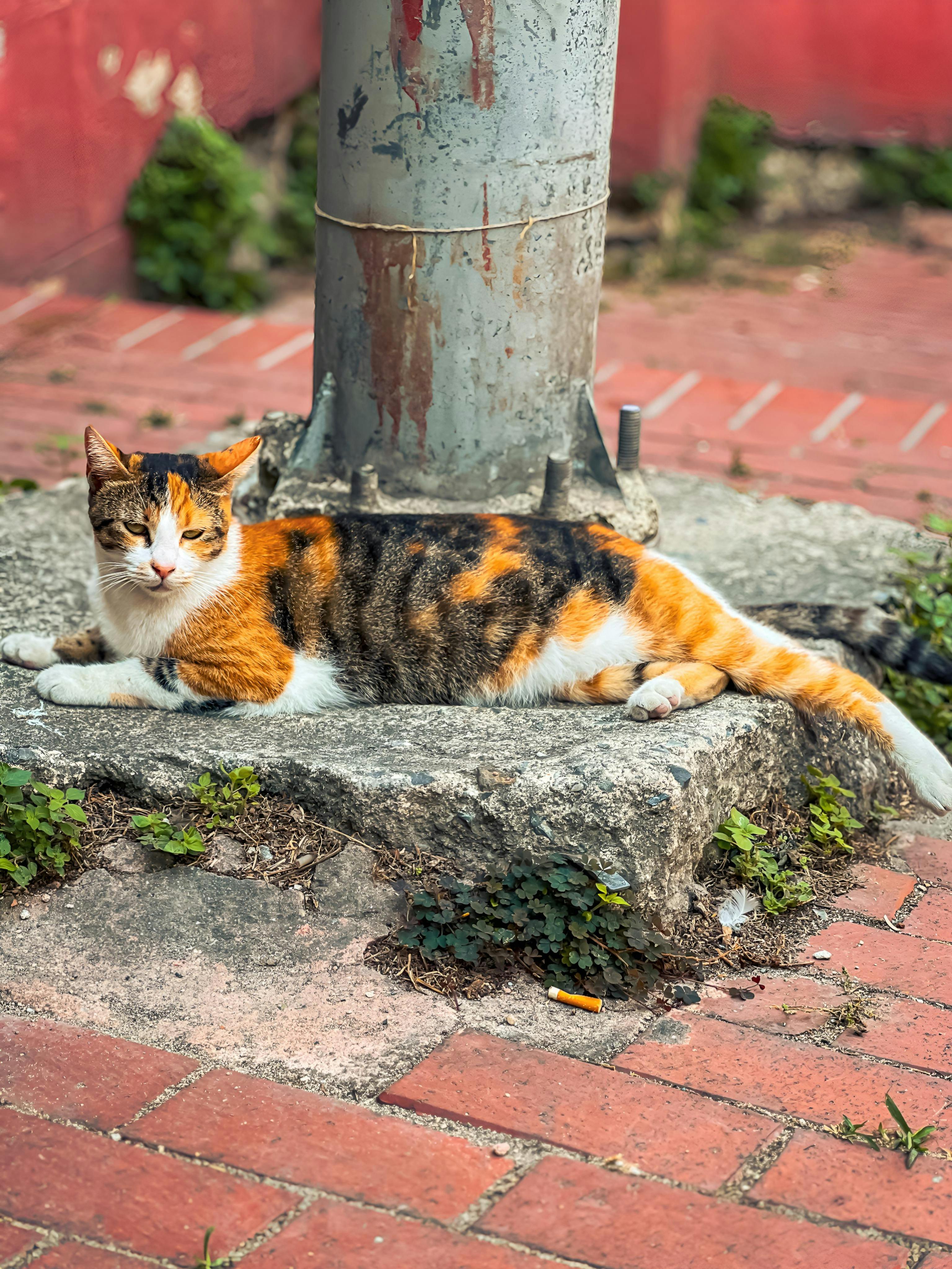 Saeed Nasser - Photography