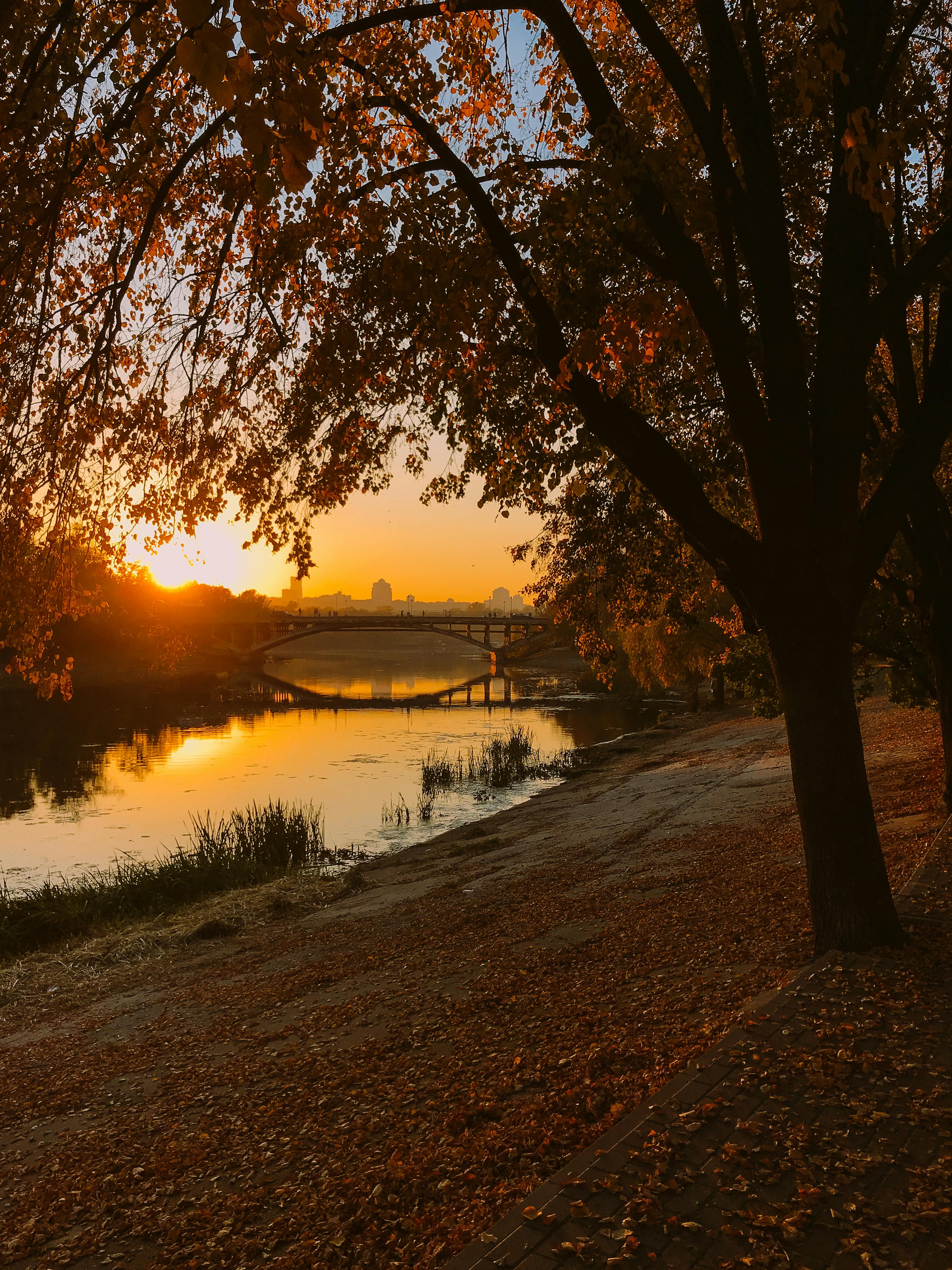 2021 13 Photos & Videos Collected by Reen S