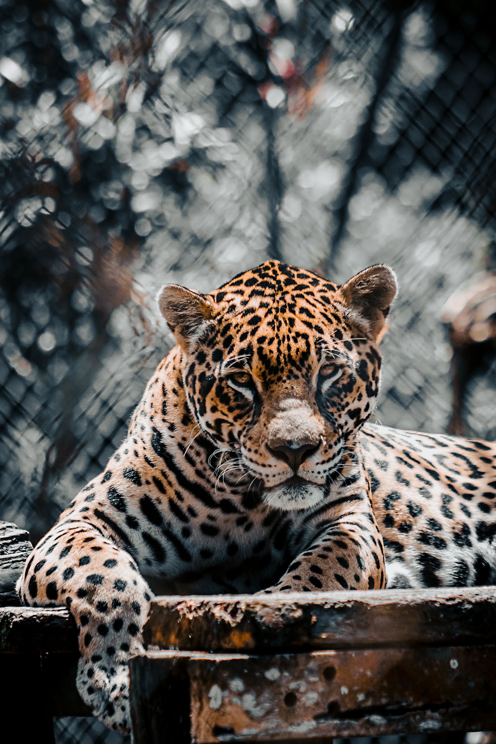 Zoo Enclosure Photos, Download The BEST Free Zoo Enclosure Stock Photos ...