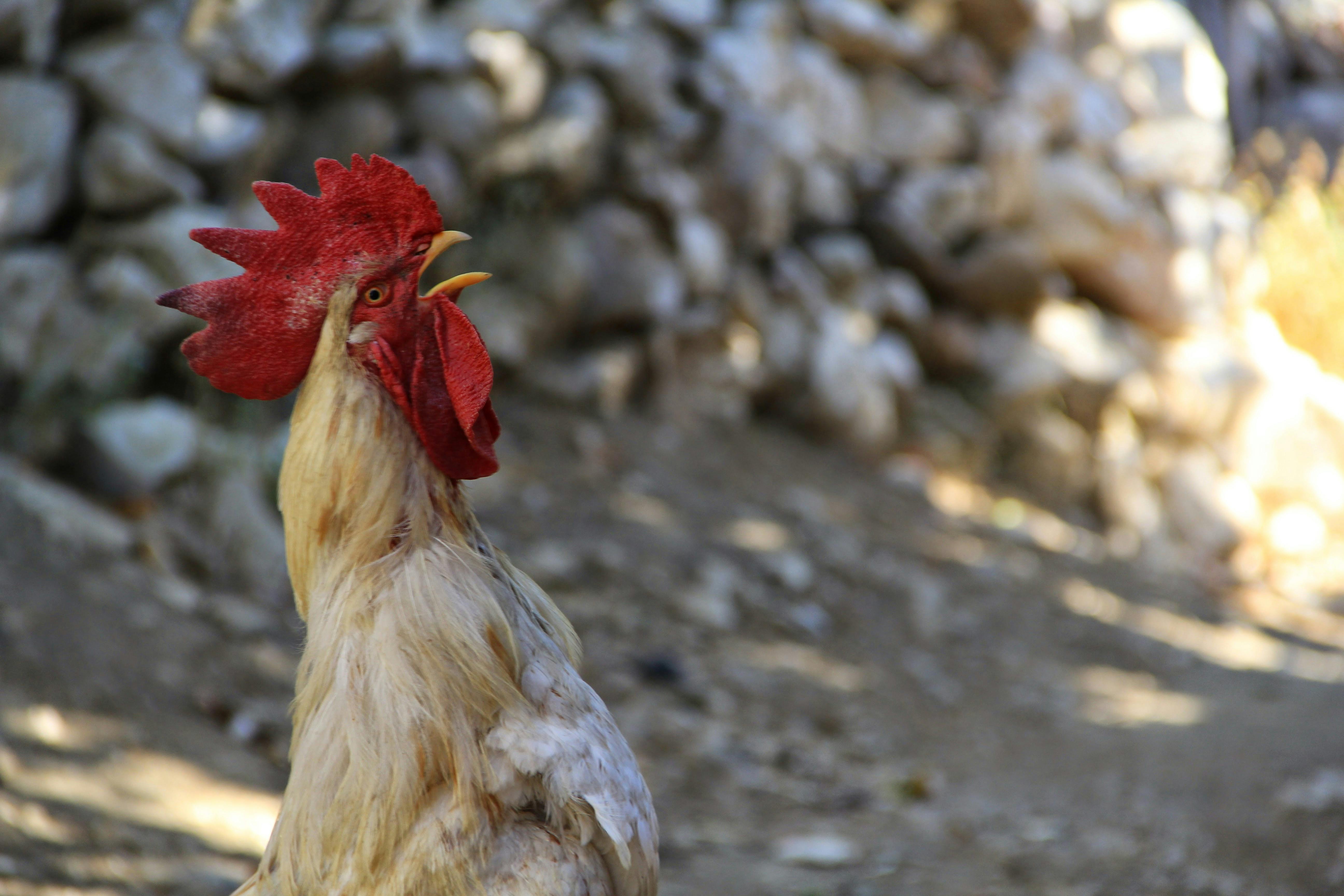 Sinan CAN - Photography