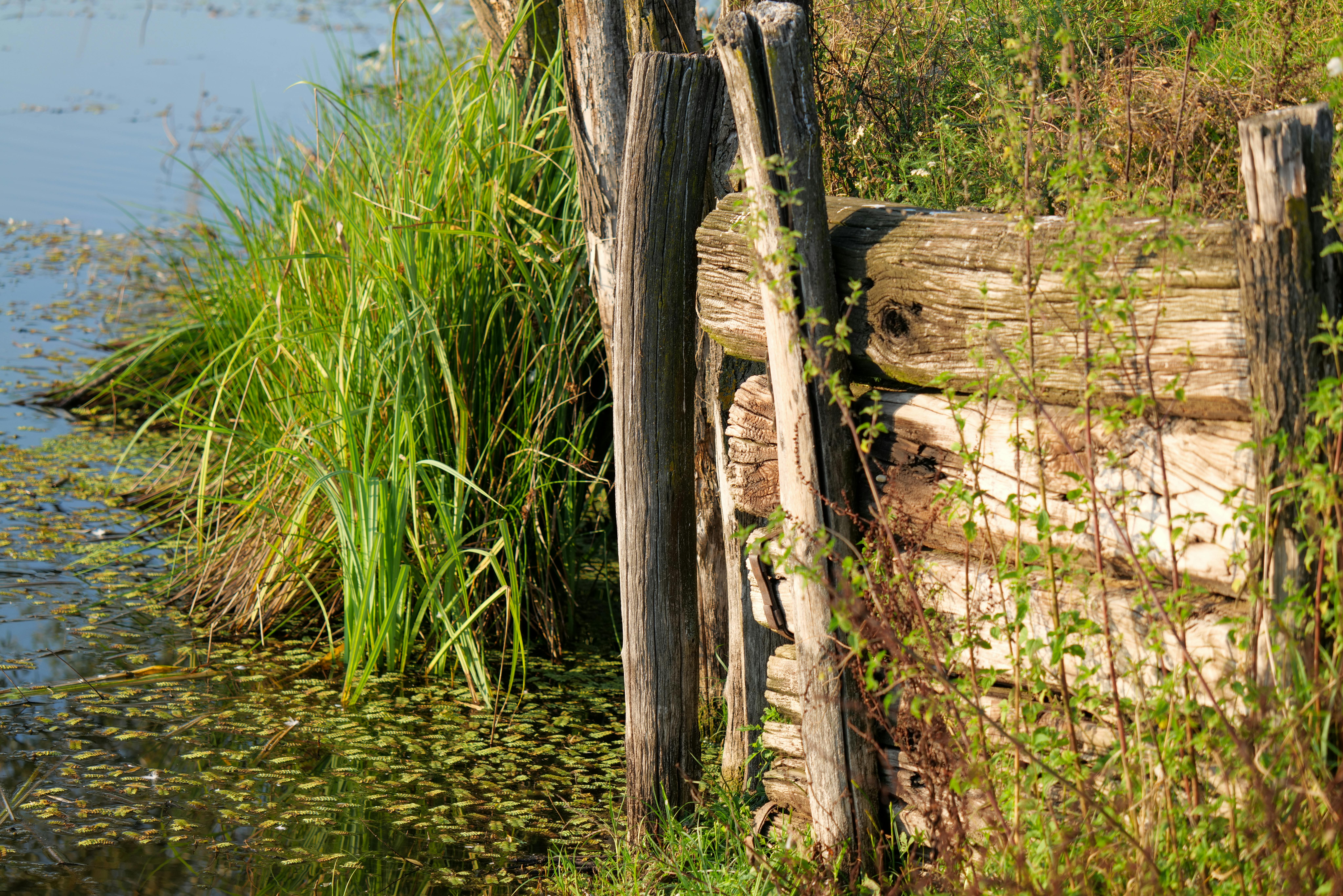 Calme Vous Photos, Download The BEST Free Calme Vous Stock Photos & HD ...