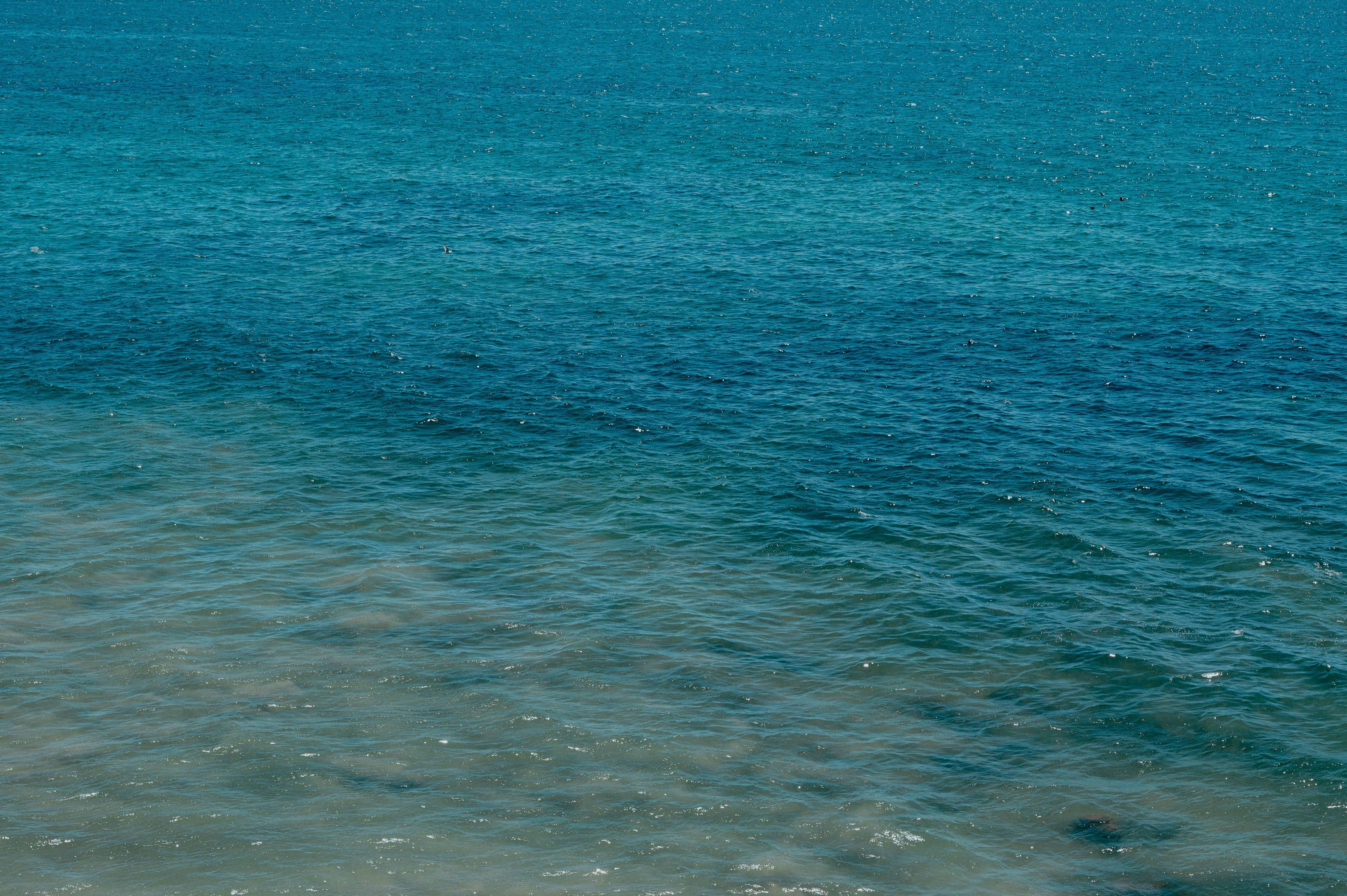 Wrinkled Navy Blue Ocean · Free Stock Photo