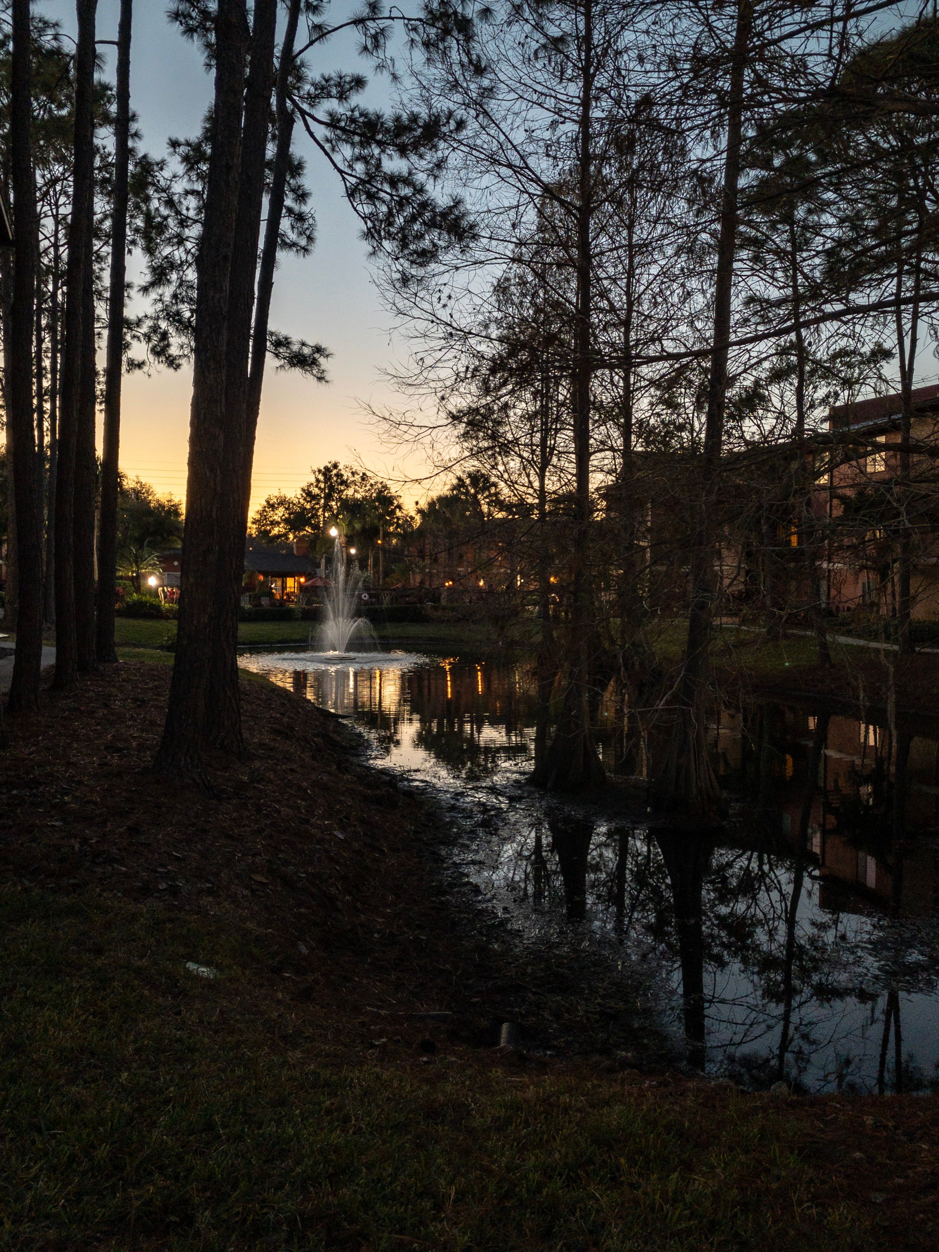 Free stock photo of fountain, sunset