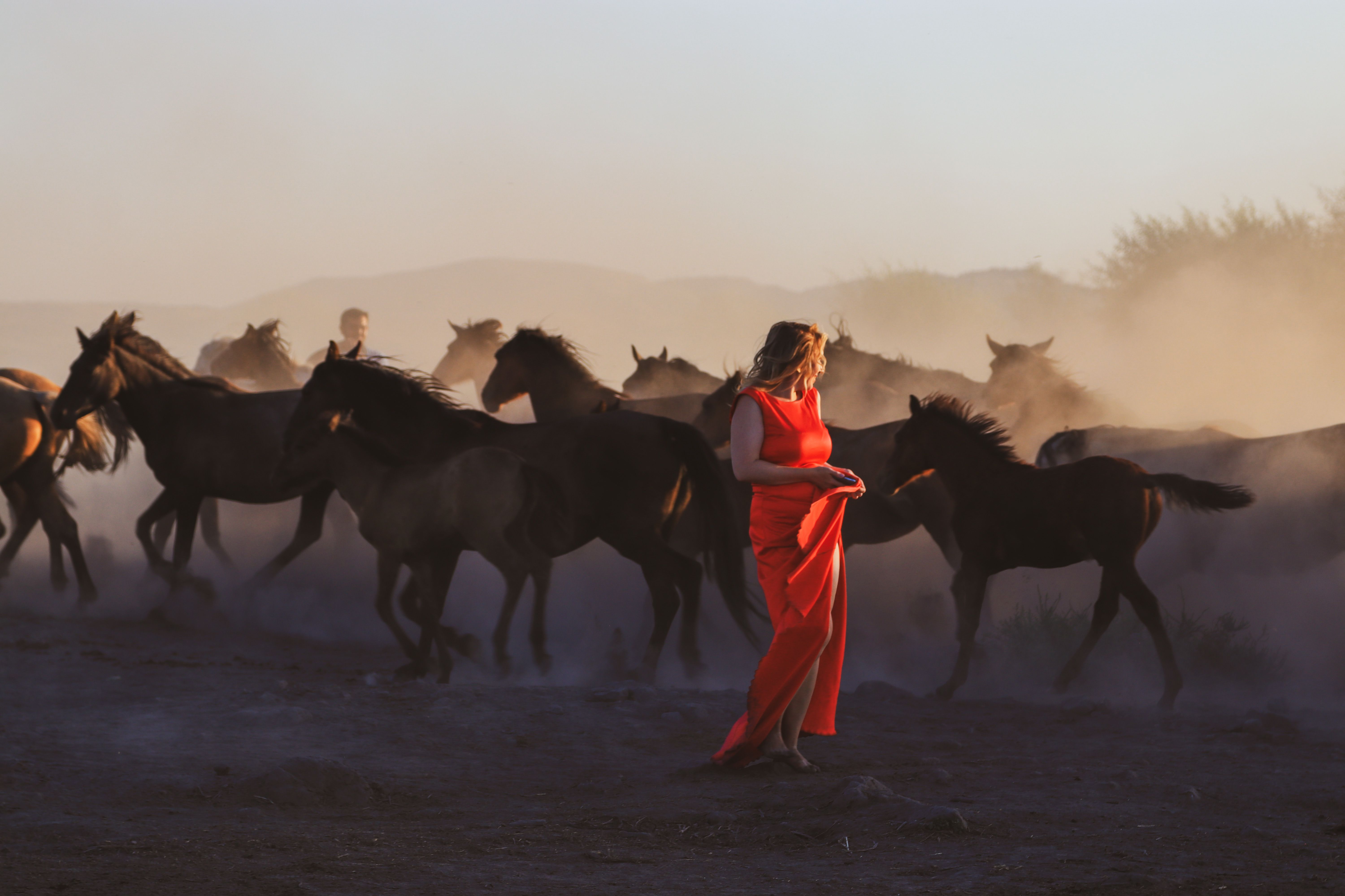 Red Running Horses Photos, Download The BEST Free Red Running Horses ...