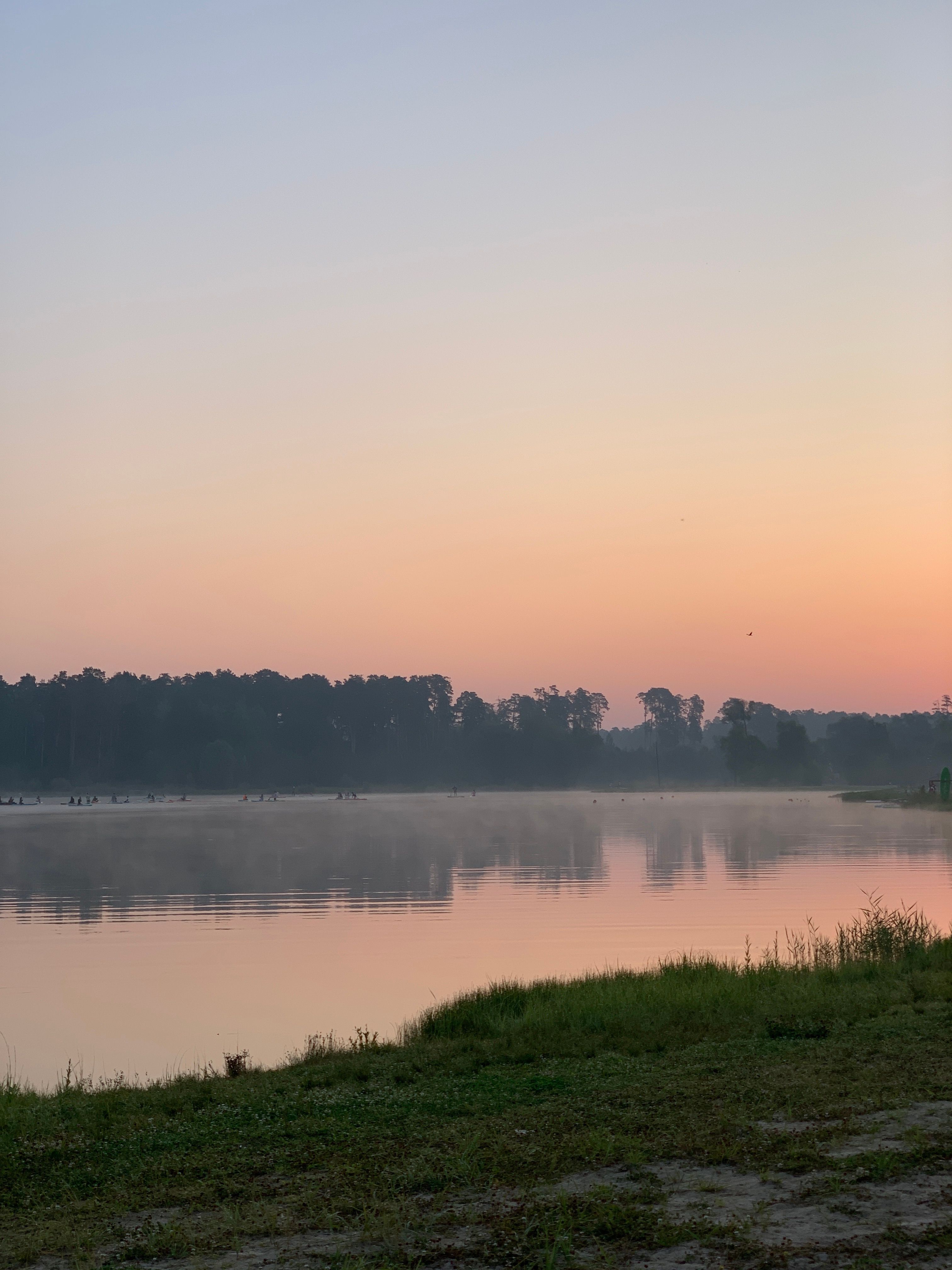 Lake at Dawn · Free Stock Photo