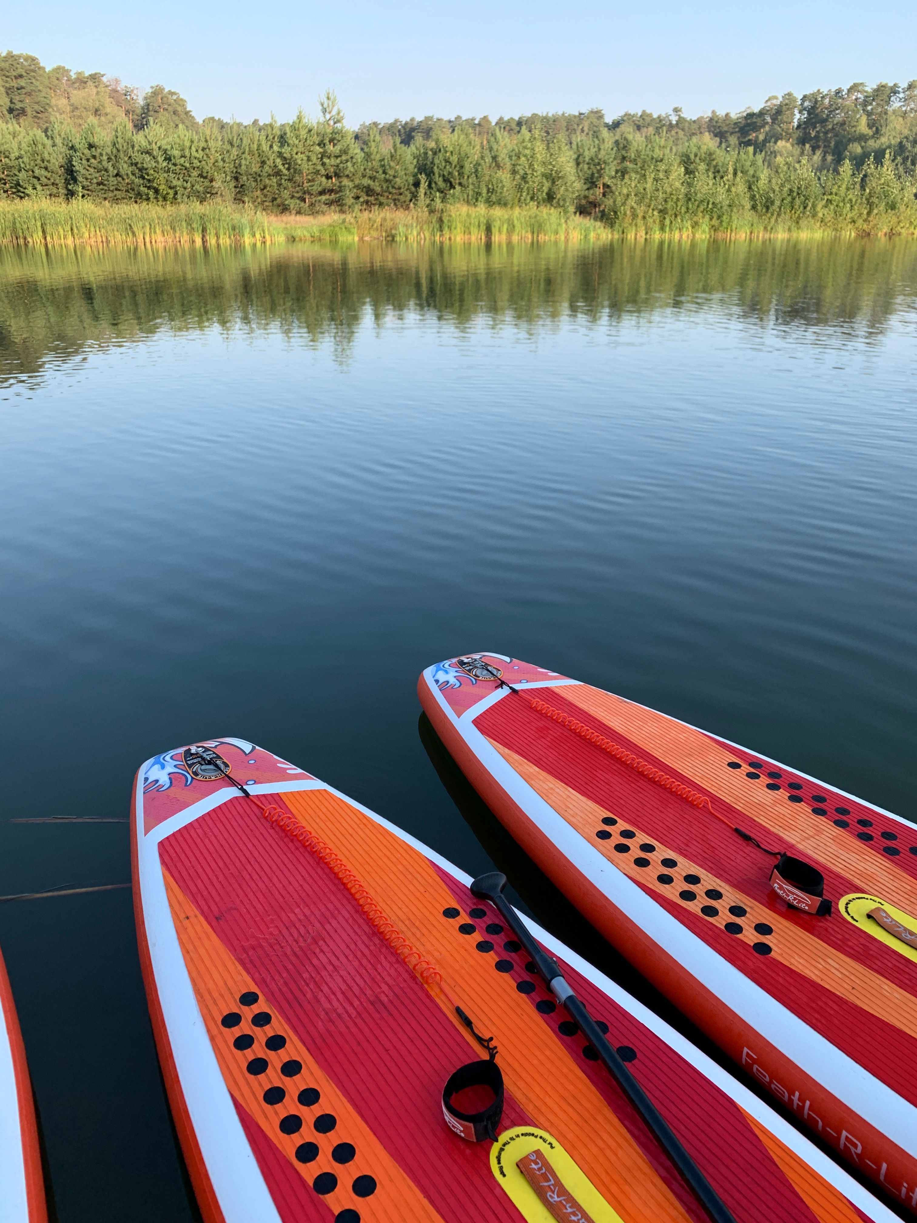 Paddleboards on Lake in Summer · Free Stock Photo