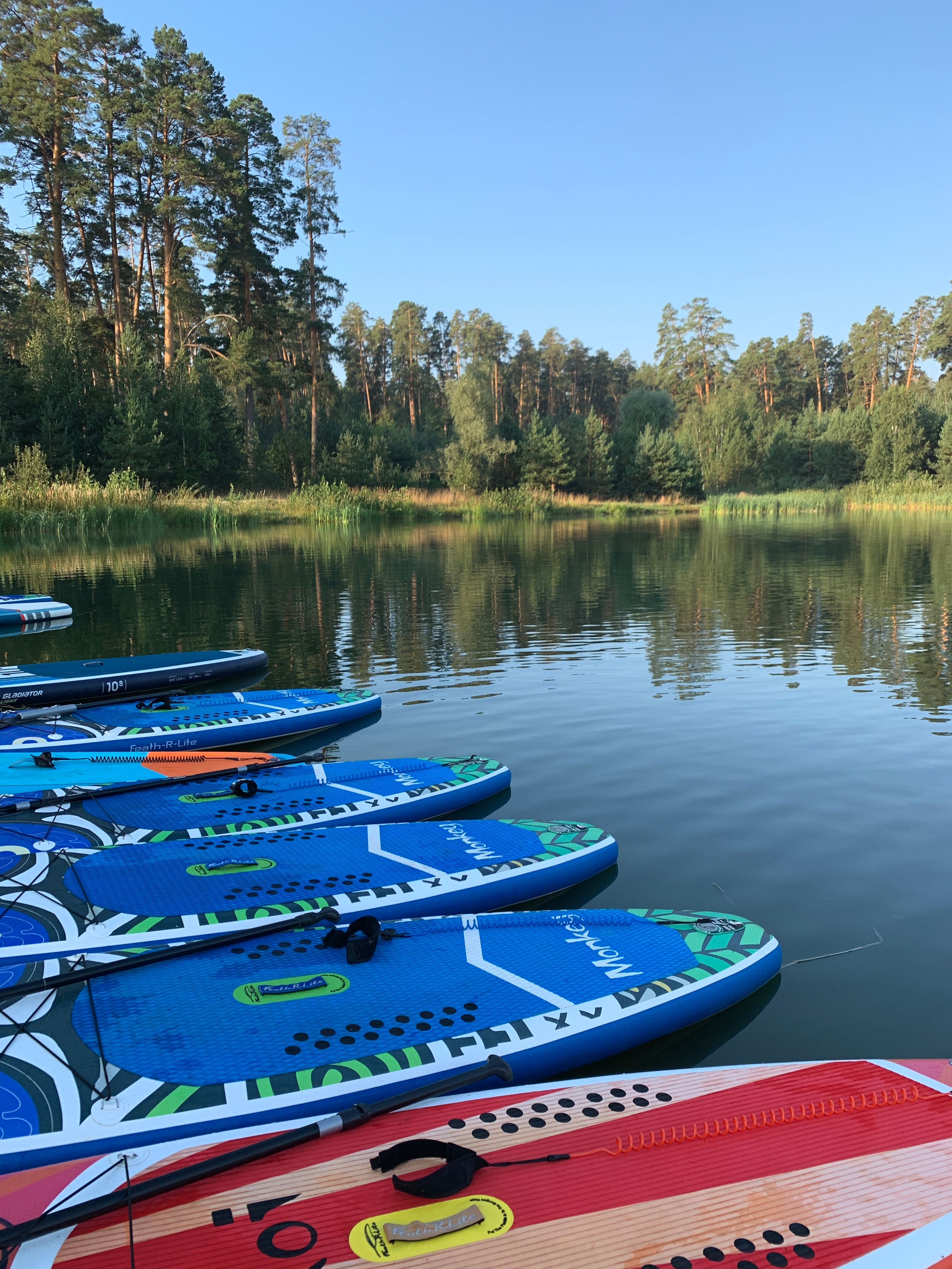 Paddleboards on Lake · Free Stock Photo