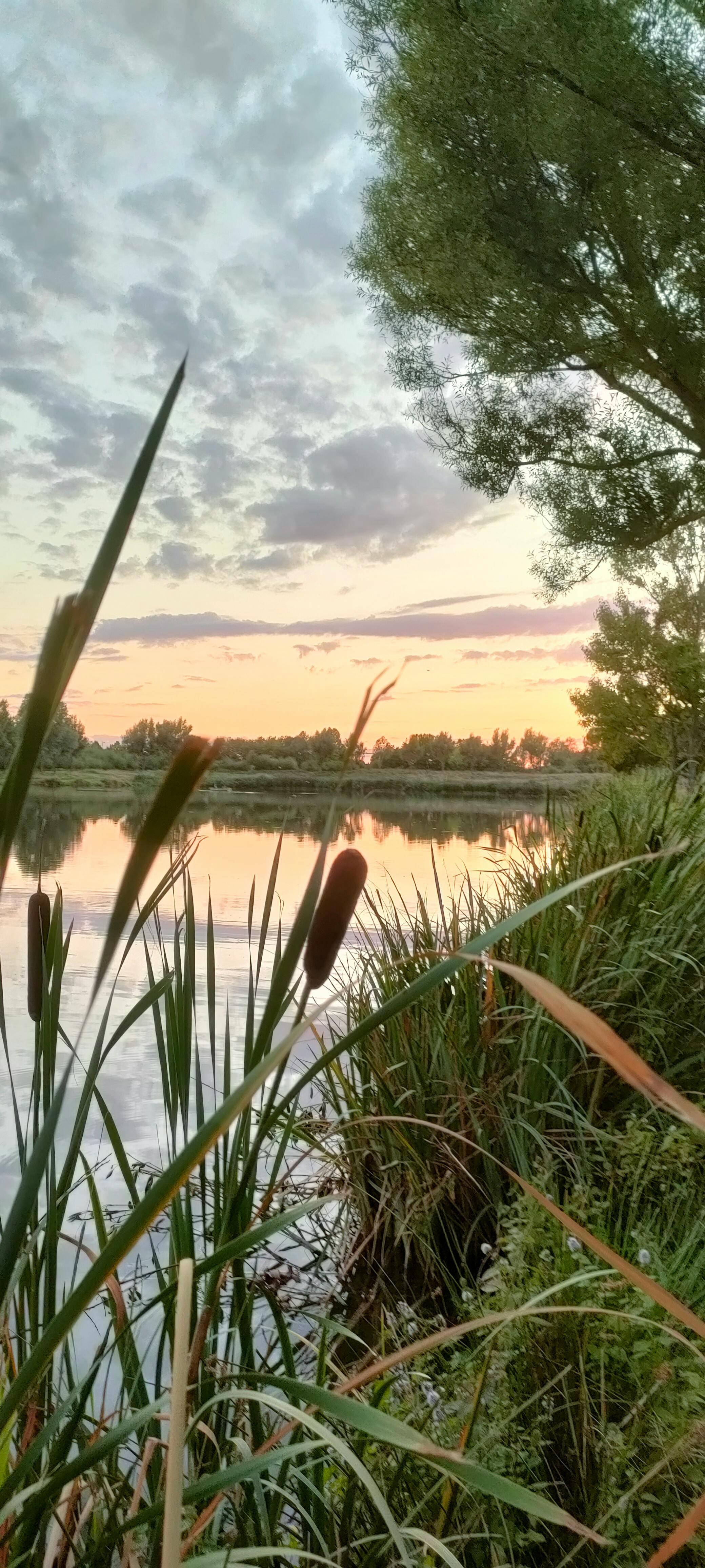 Zied Rezgui - Photography