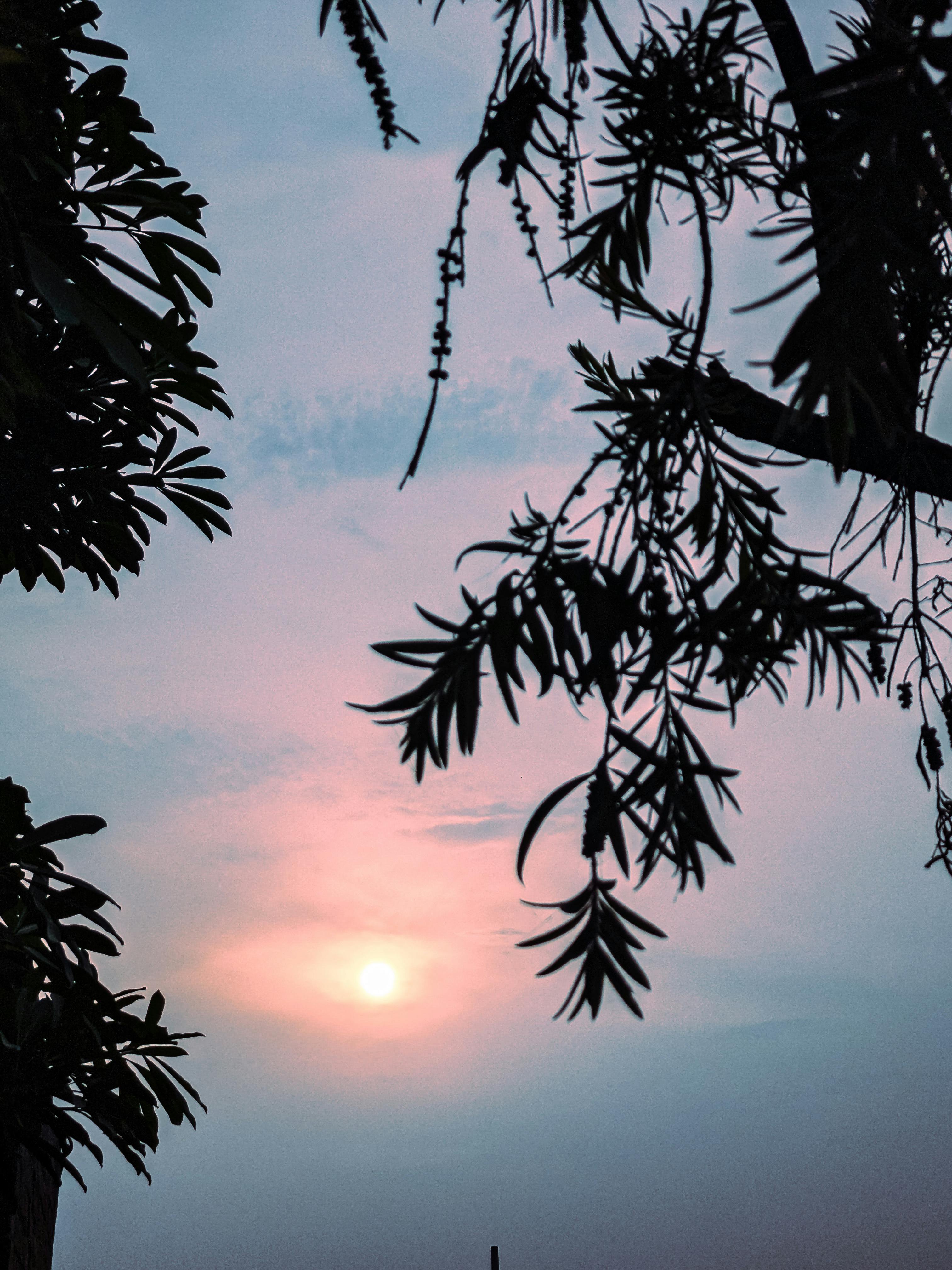 Muhammad Taha - Fotografie