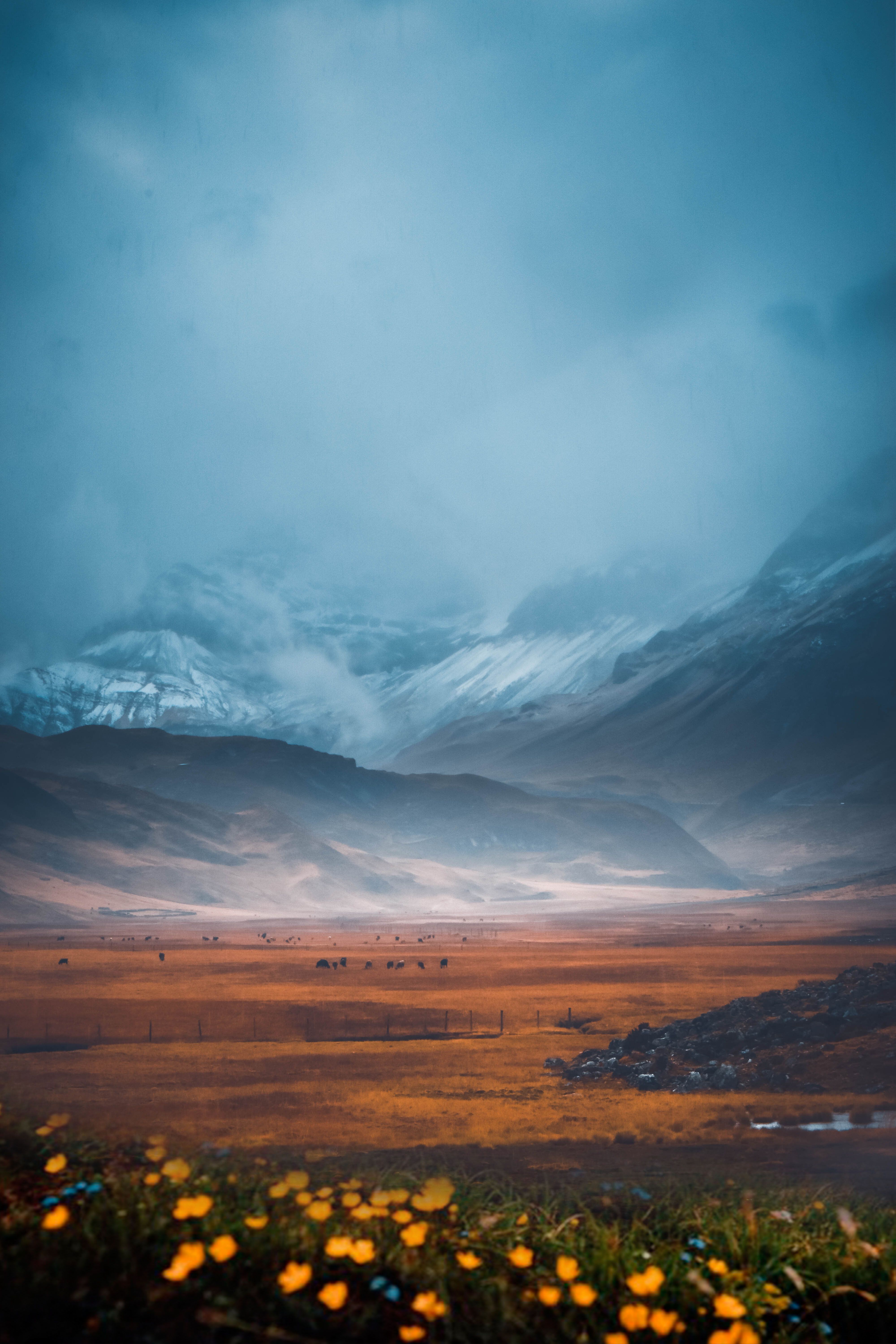 Cloud over Valley in Mountains · Free Stock Photo