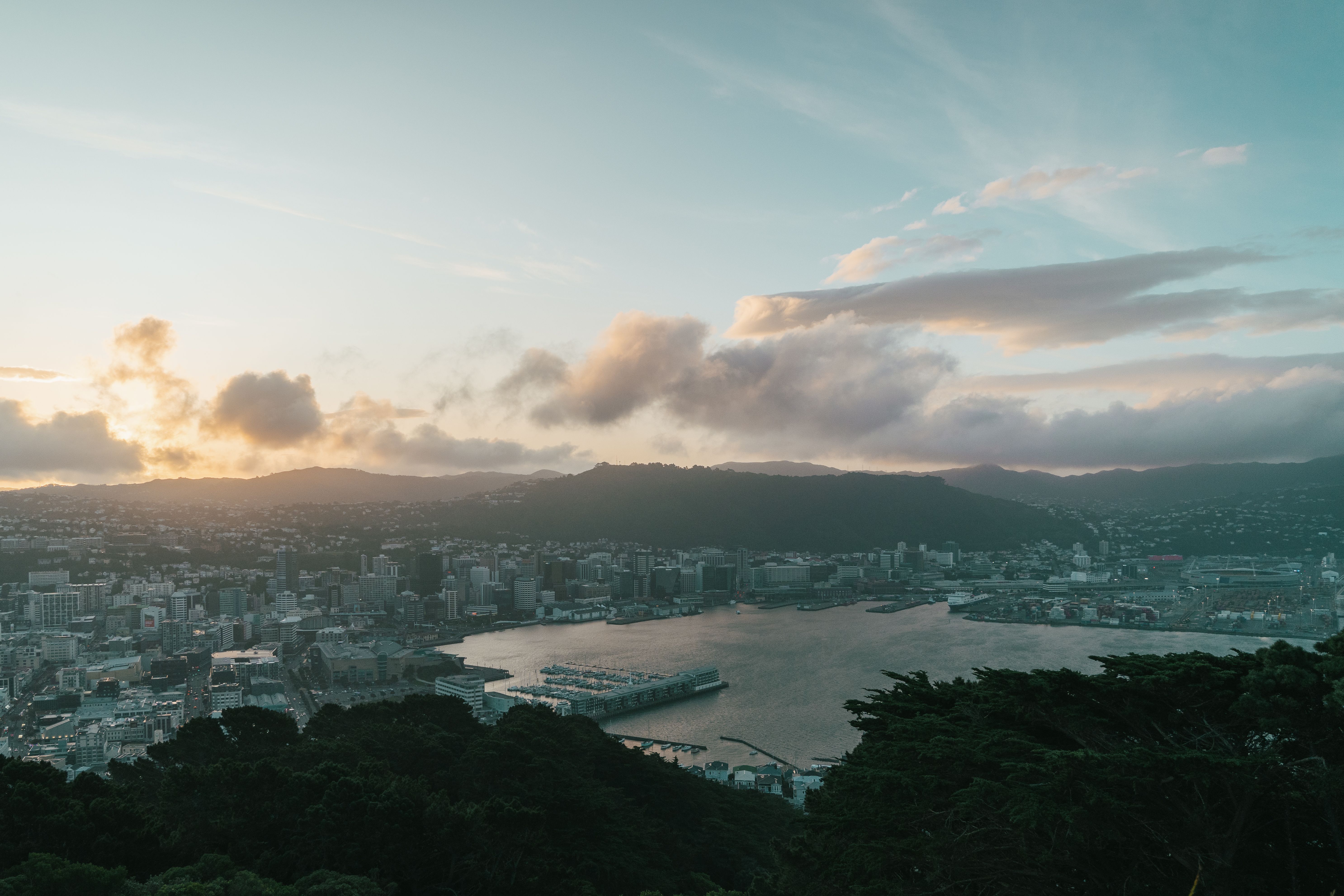 Aerial View of the Wellington Harbour in New Zealand · Free Stock Photo
