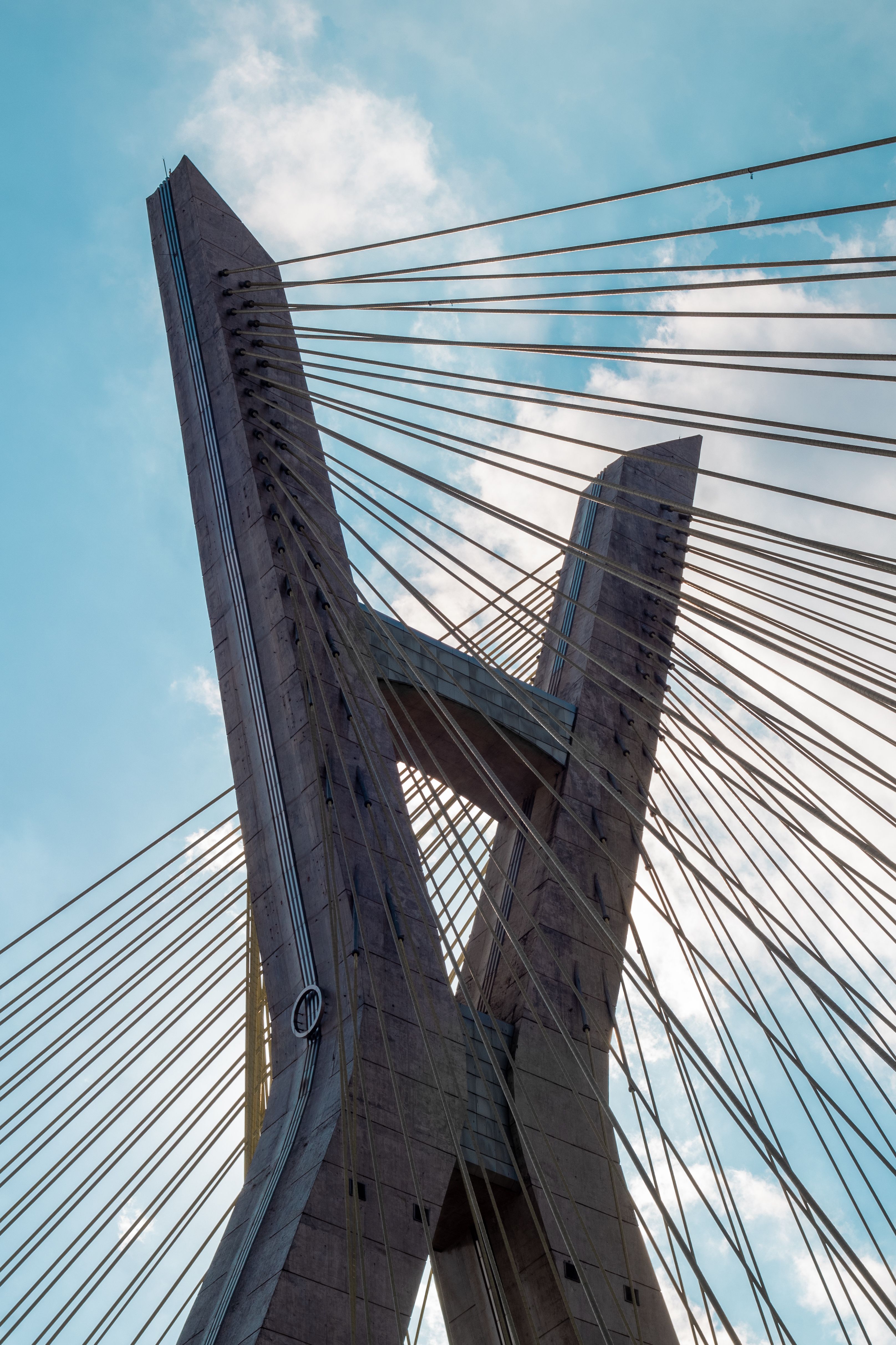Suspension Cables of Bridge · Free Stock Photo