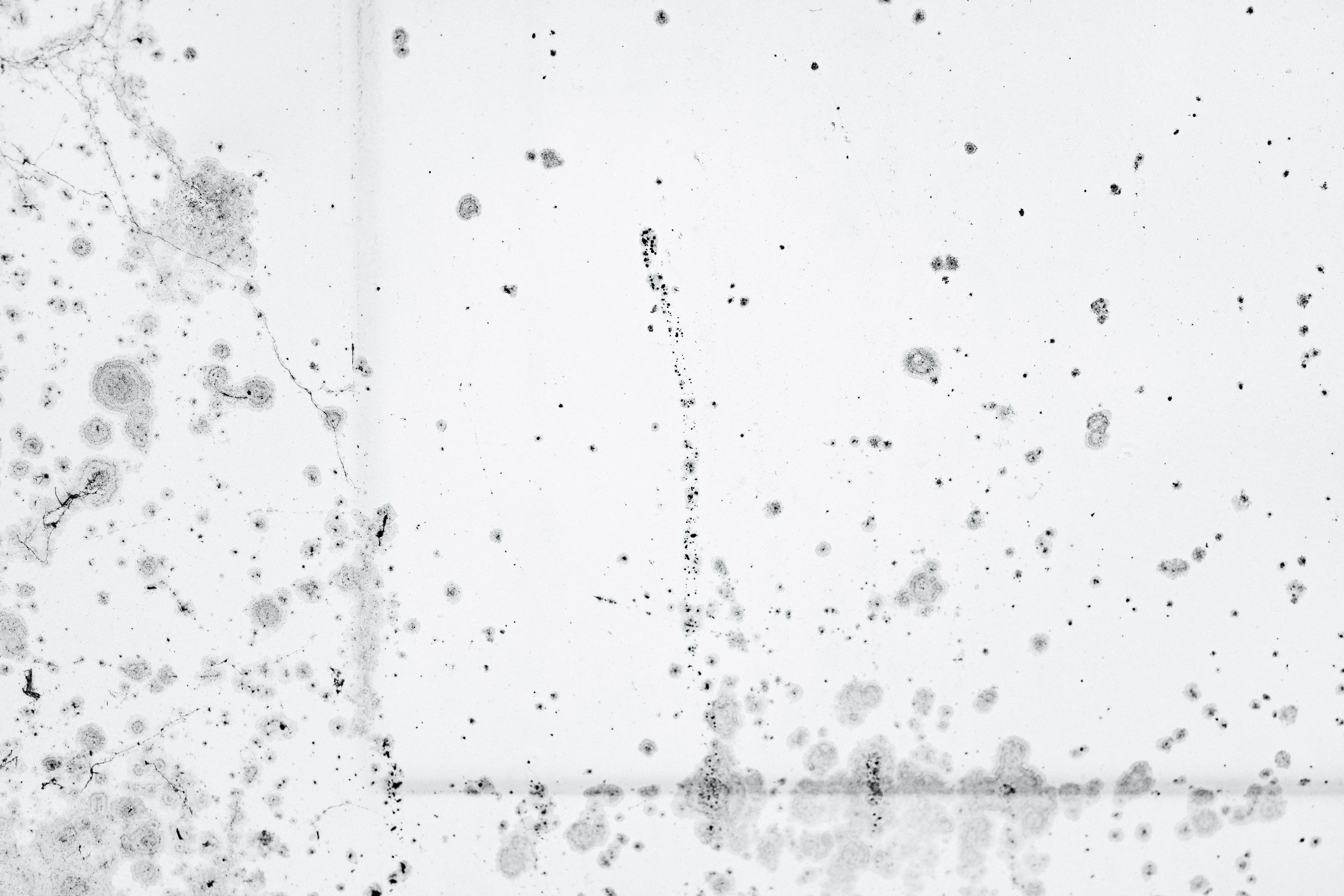 Abstract Potrat Photos, Download The BEST Free Abstract Potrat Stock ...
