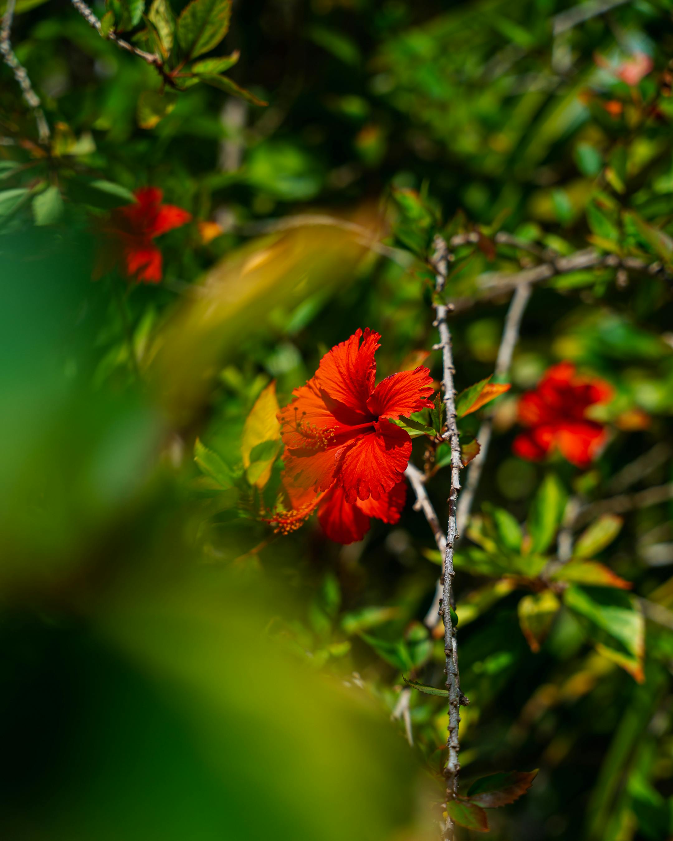 Matteo Parisi - 사진